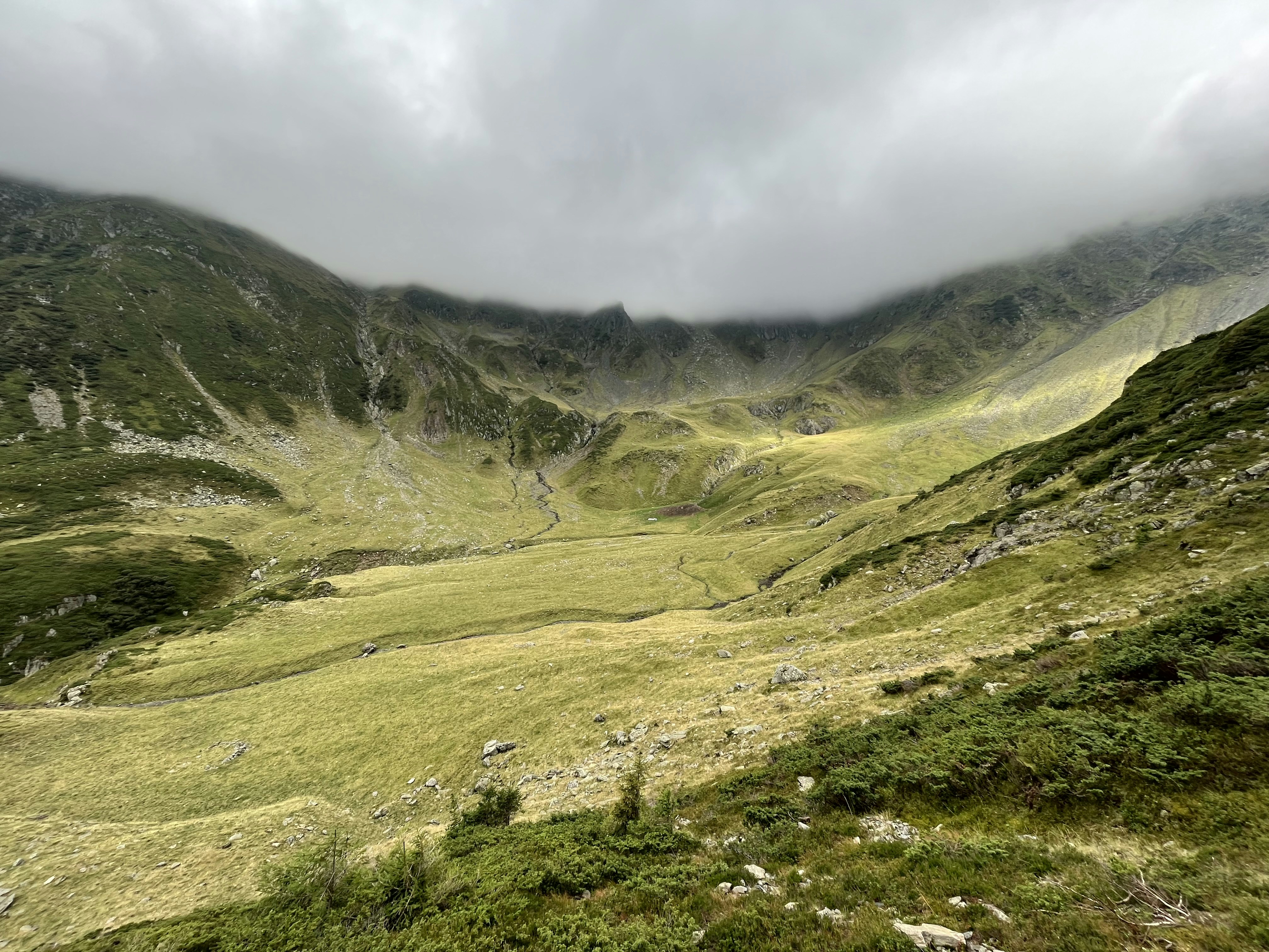 Whispers of the Valley: A Cloud-Kissed Landscape