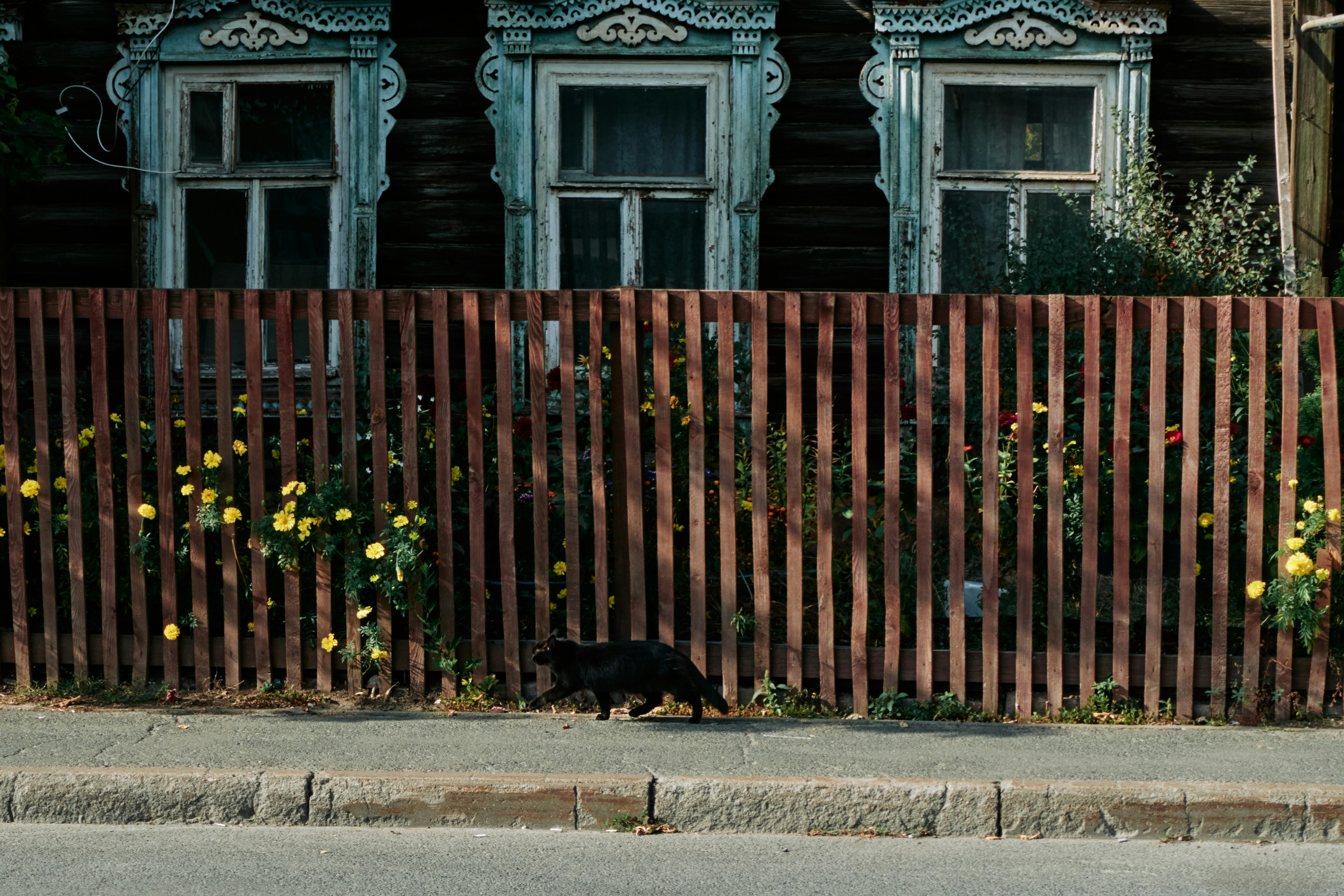 Black Cat Silhouette Skirting a Rusted Fence in Front of Ornate Wood House