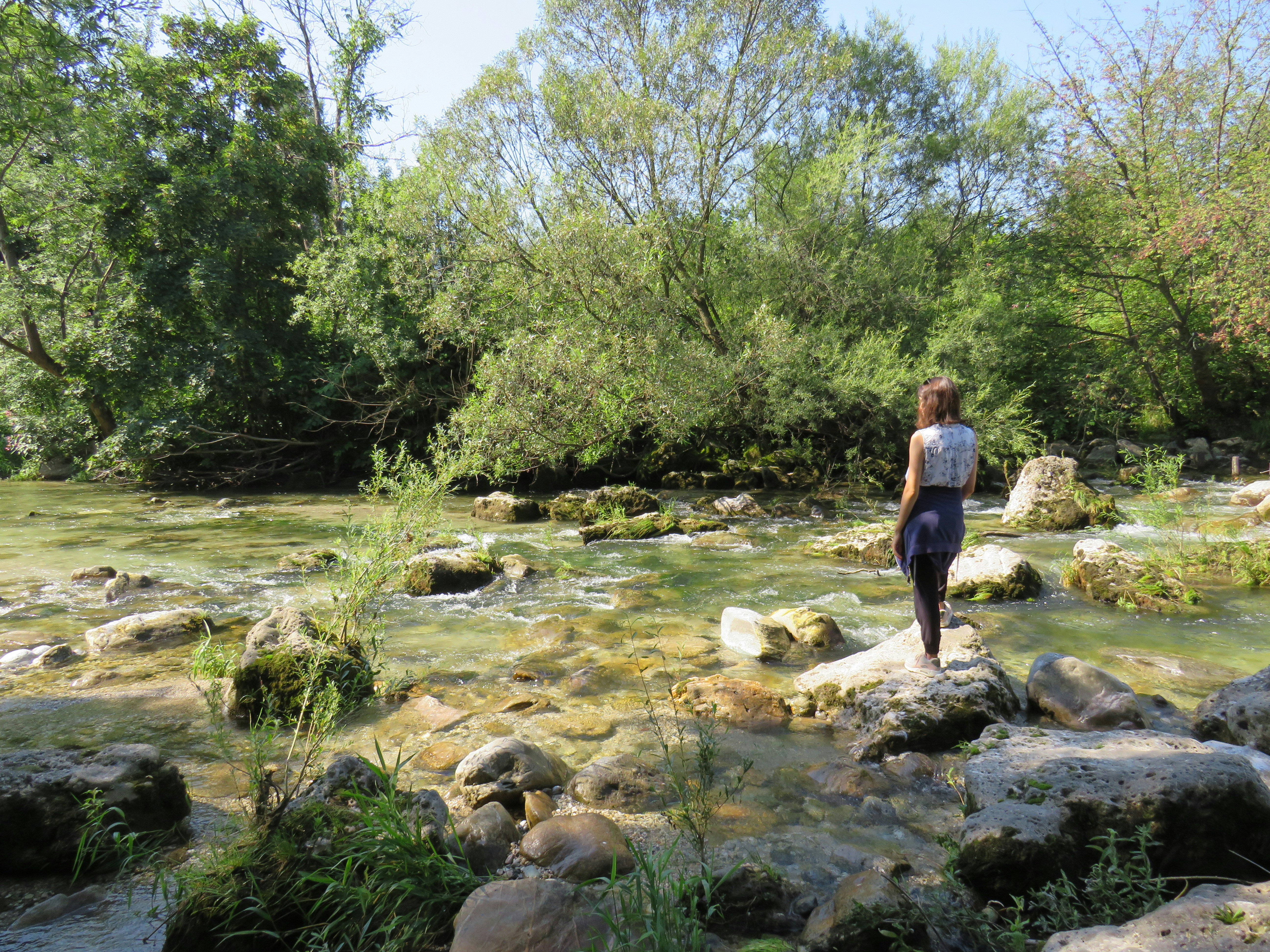 Solitary Wanderer on a Sunlit Riverbed