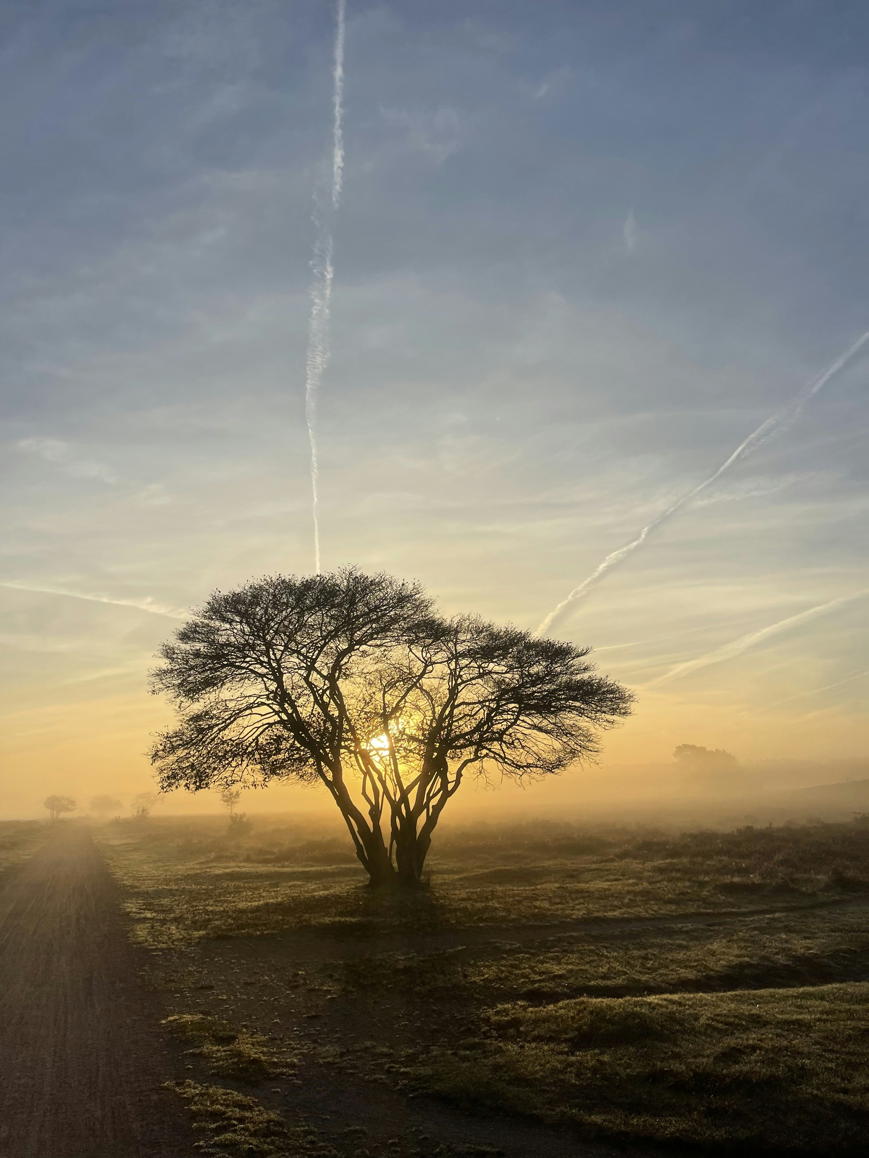 Max (@maximiliaan) | Unsplash Photo Community