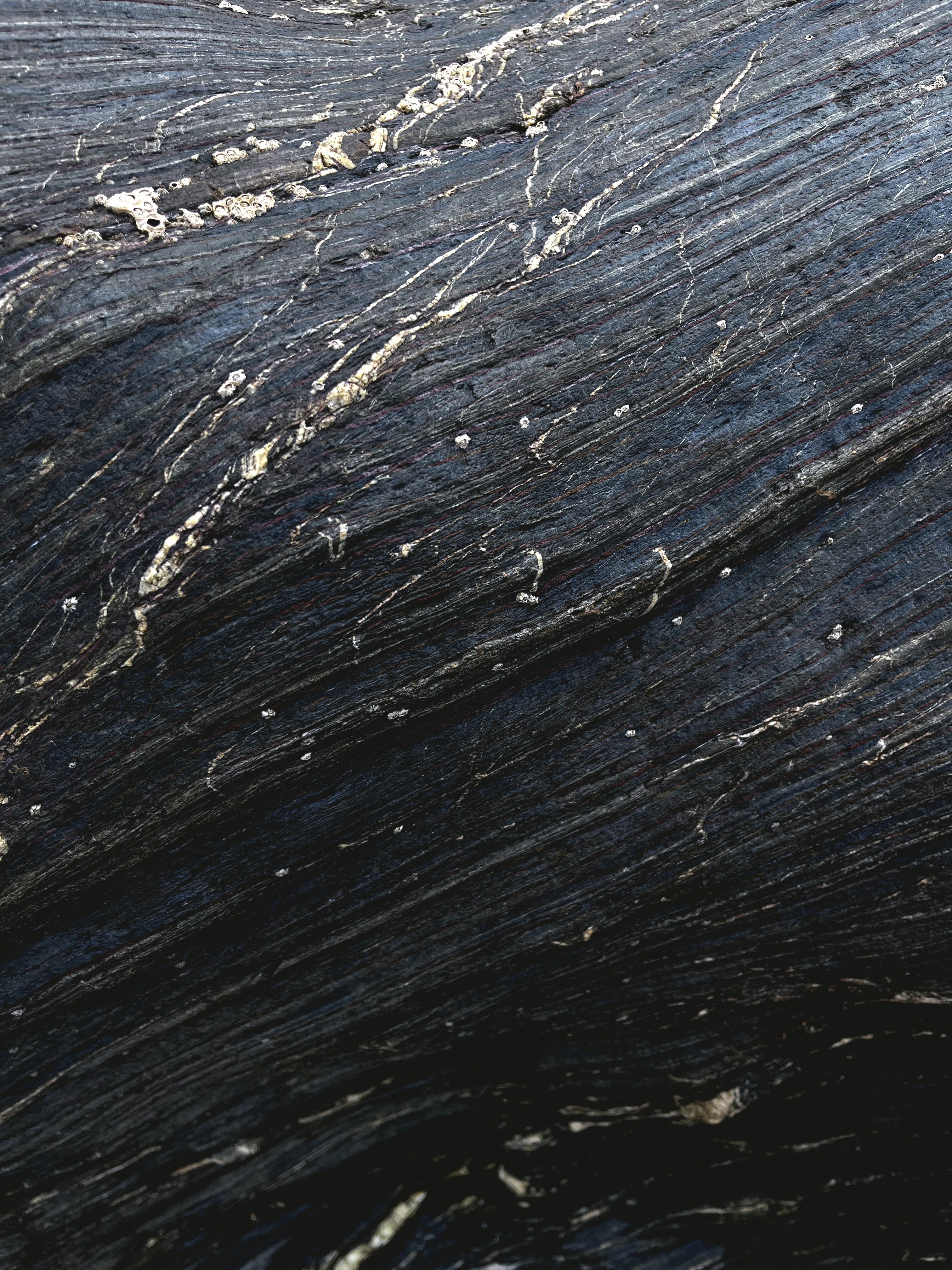 A close up of a black rock with white streaks photo – Free Cornwall ...
