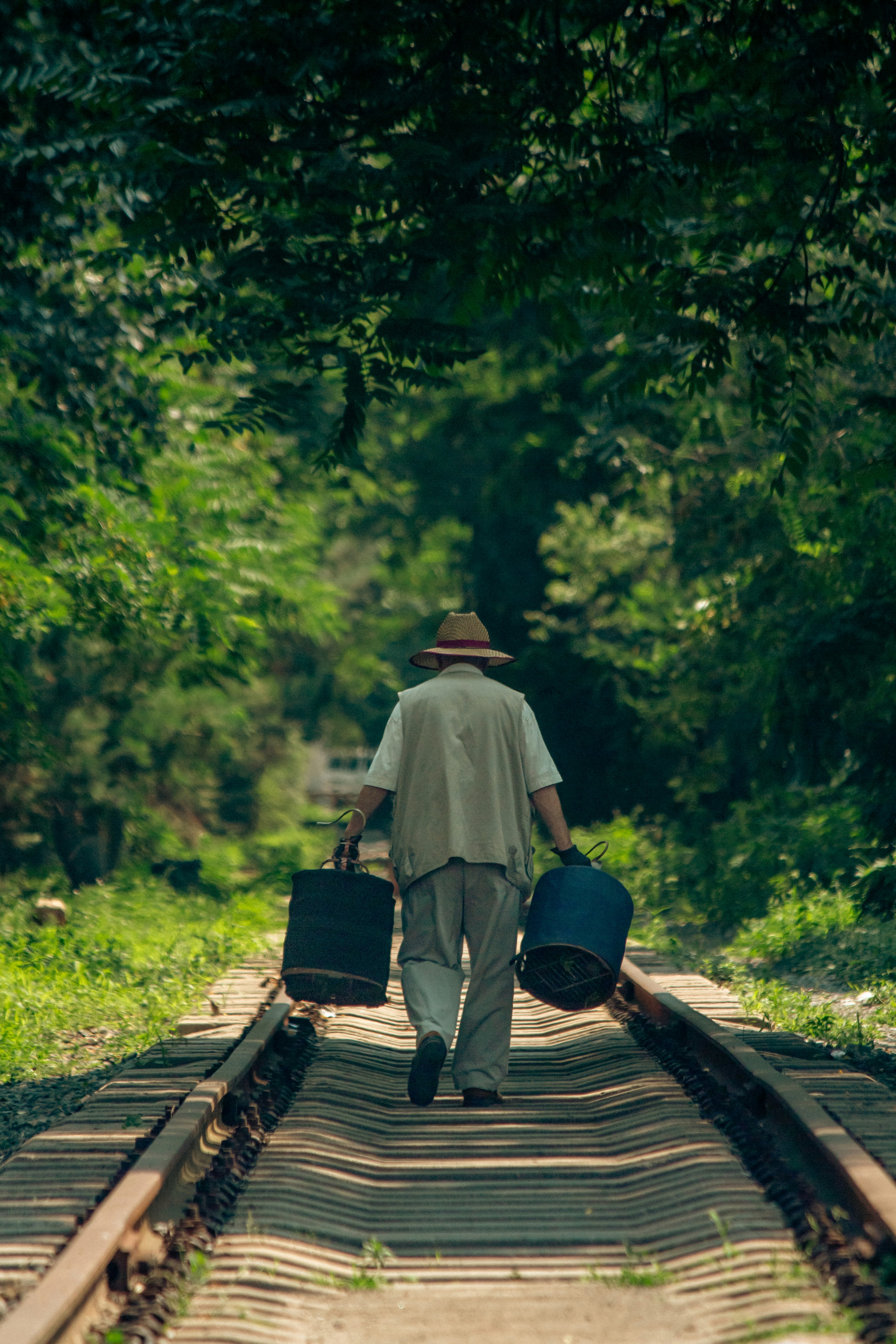 Journey Through Forgotten Tracks