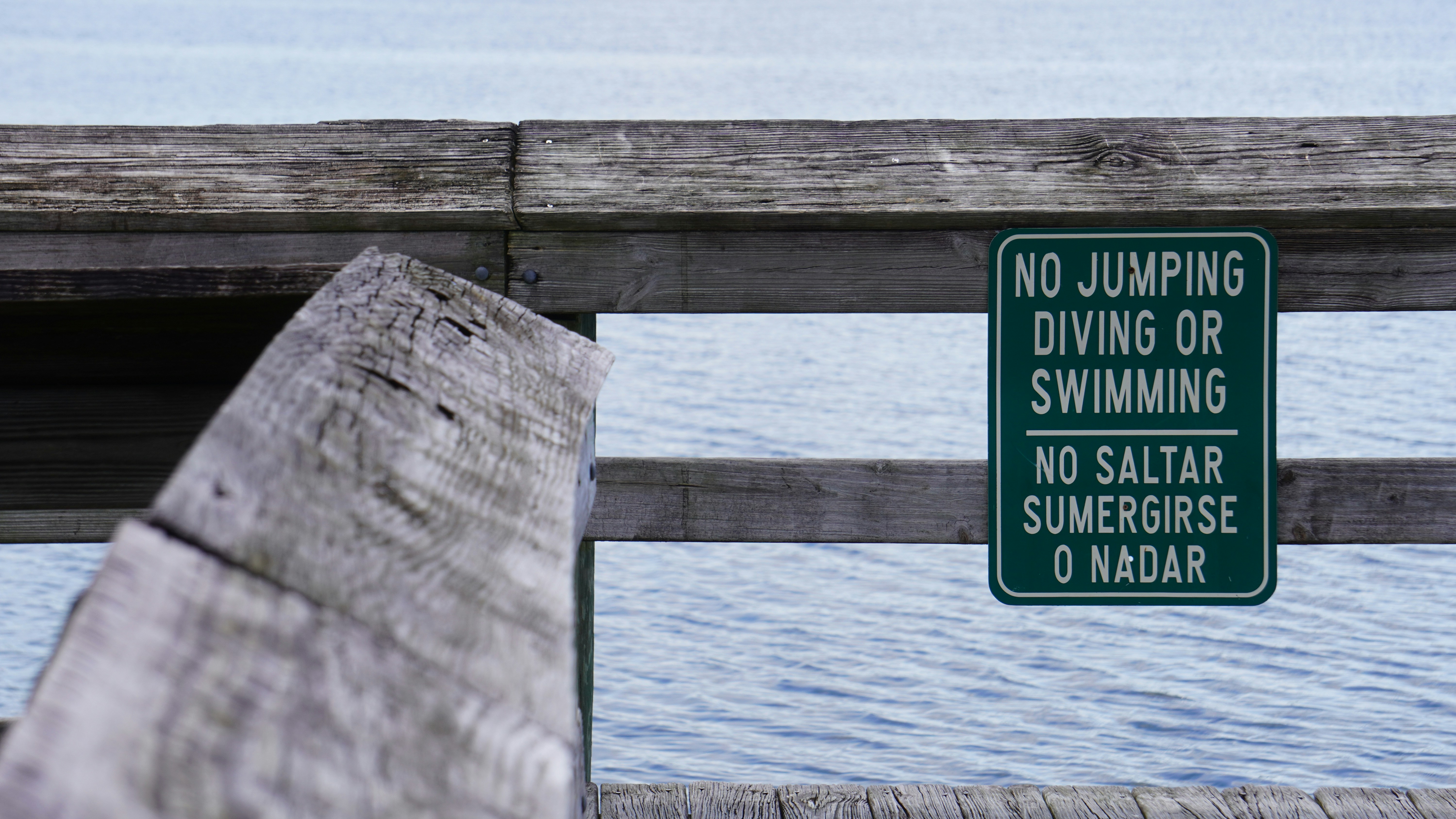 no diving sign