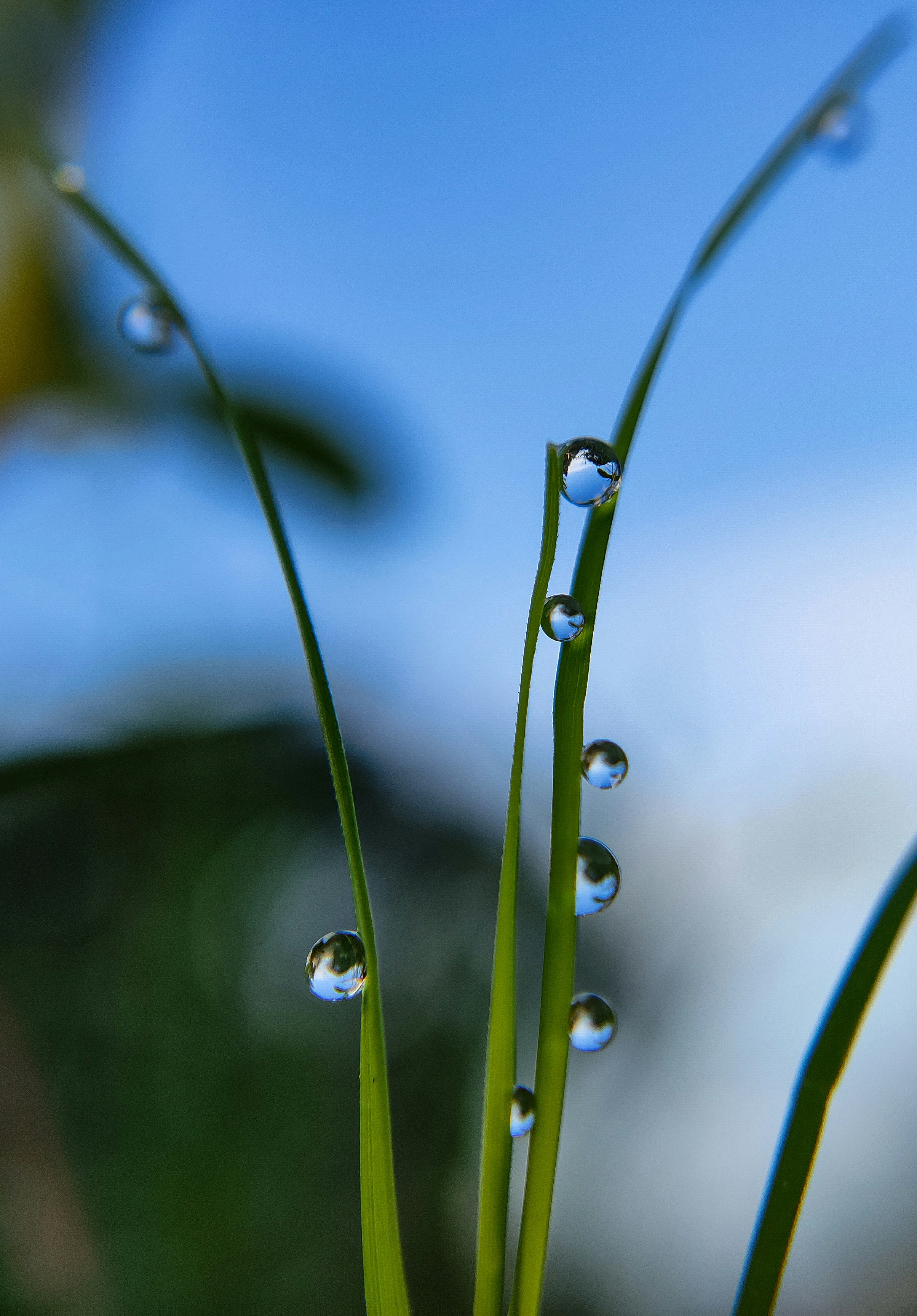 Photo by Shyamli Kashyap with Redmi Note 10 Pro