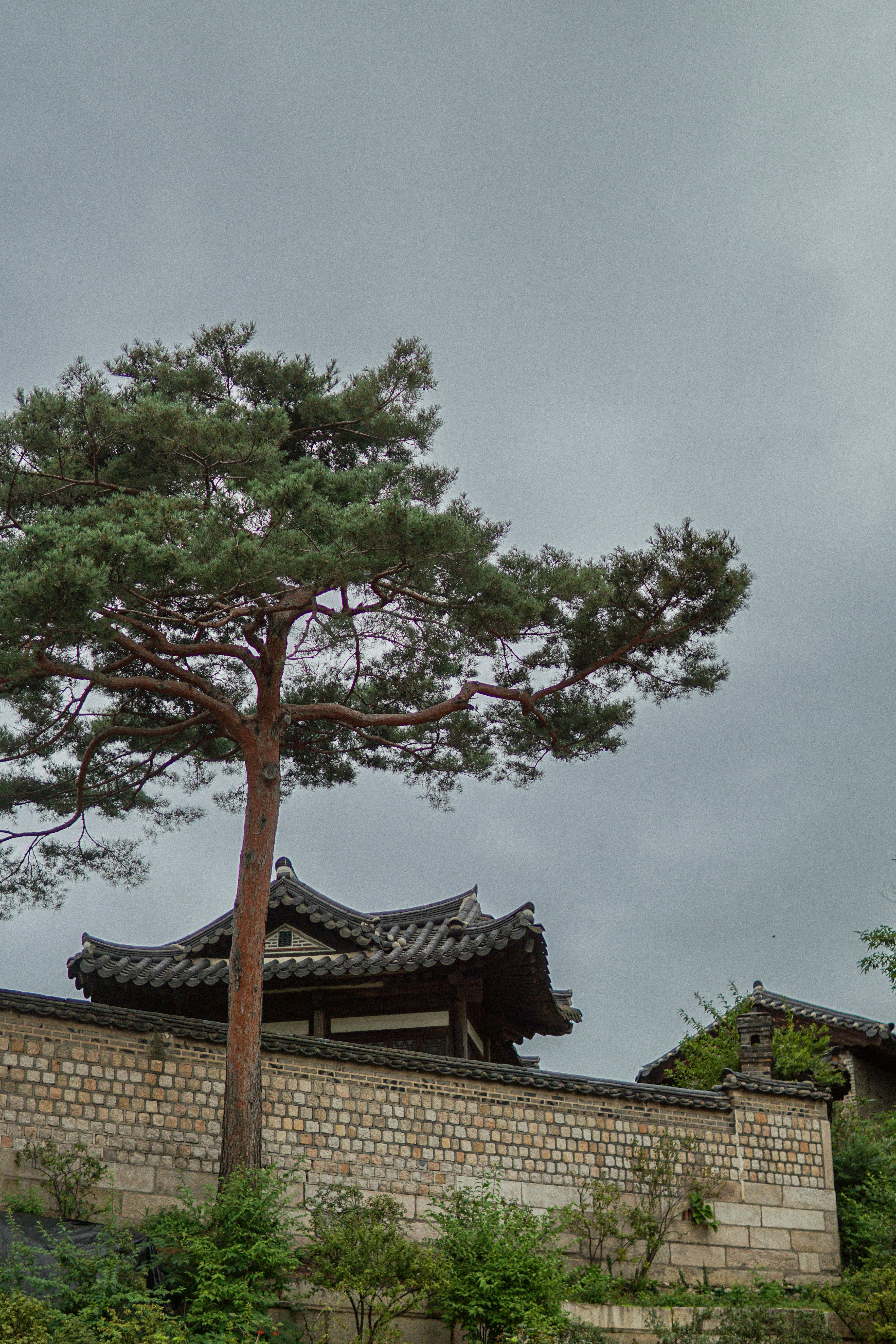 jieun kim (@cafe_yoyogi) | Comunidad de fotos de Unsplash