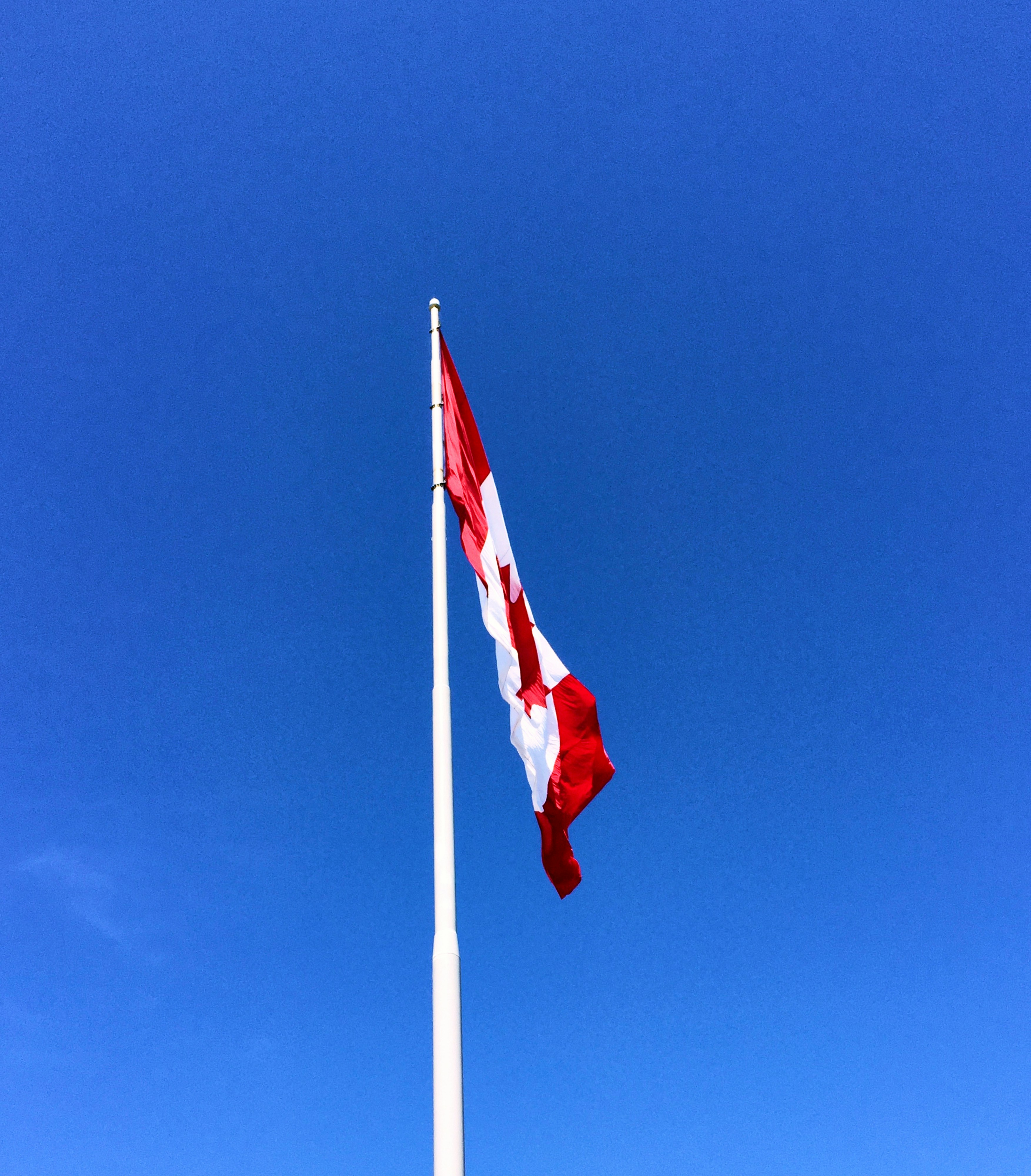 Red Maple Flag Aloft Against a Pristine Blue Sky