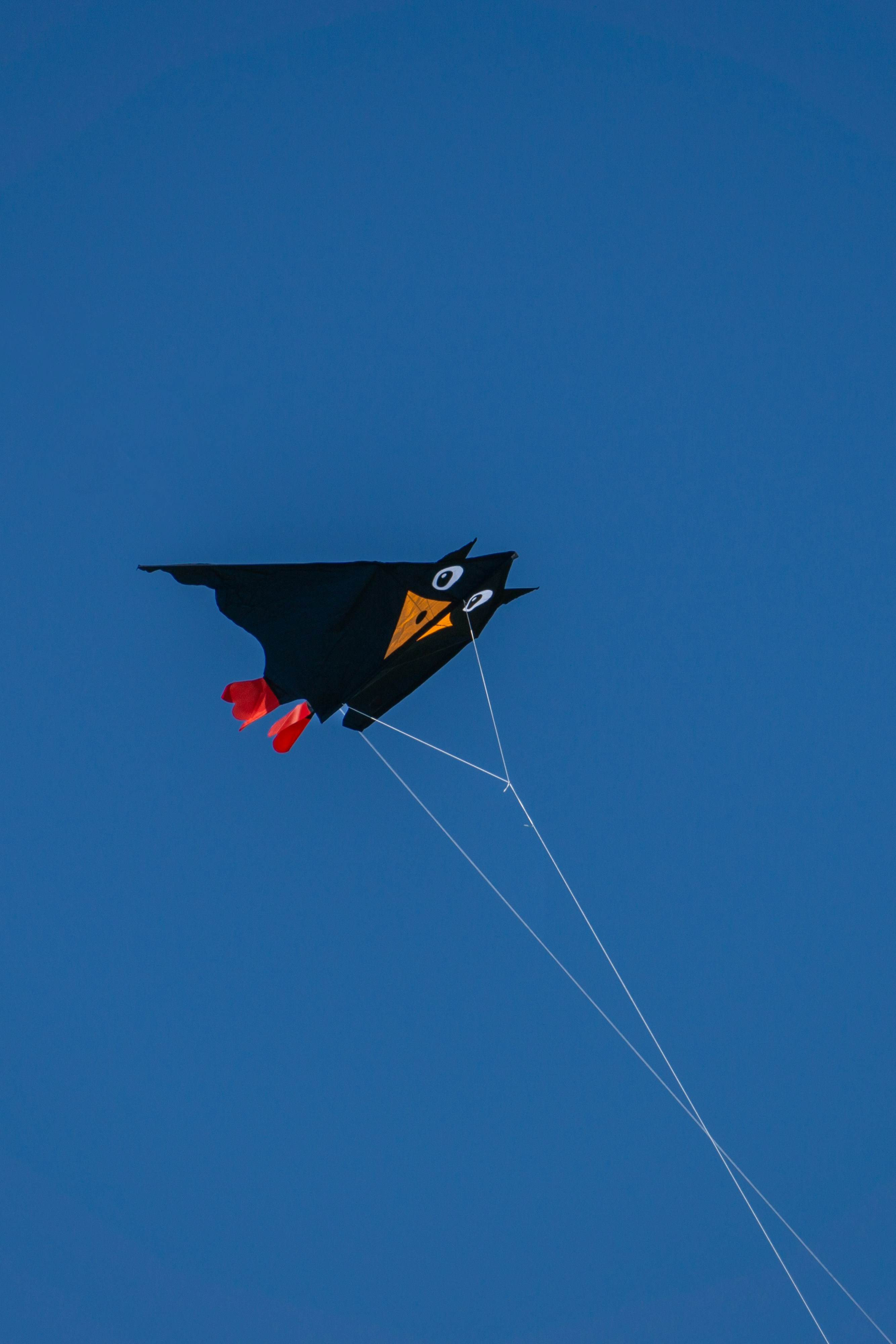 Azure Glide: Bird-Shaped Kite with Red Streamers Soars Across a Clear Sky