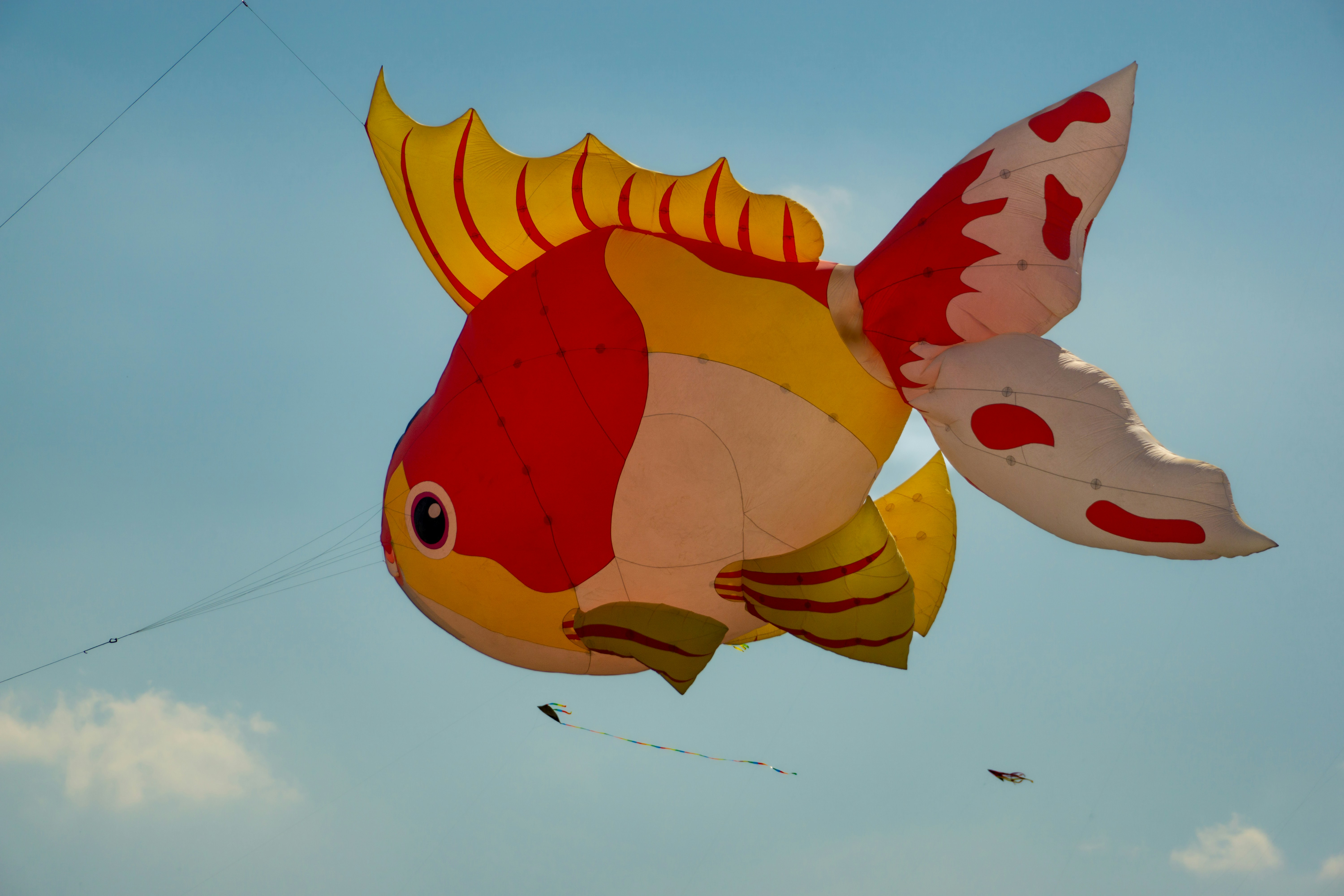 A large kite shaped like a fish flying in the sky photo – Free ...