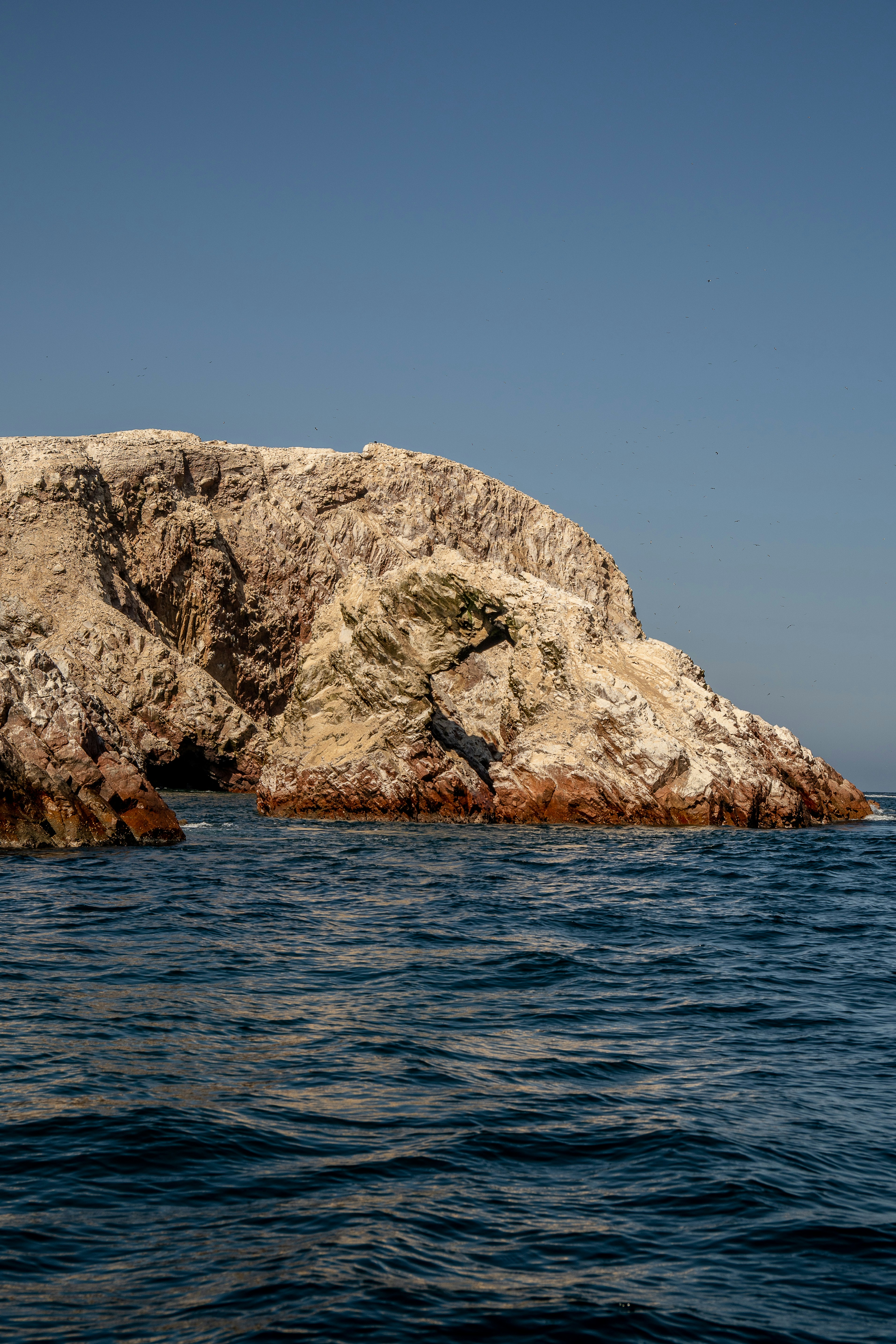 Photo by Diego Allen with Sony Alpha 6400