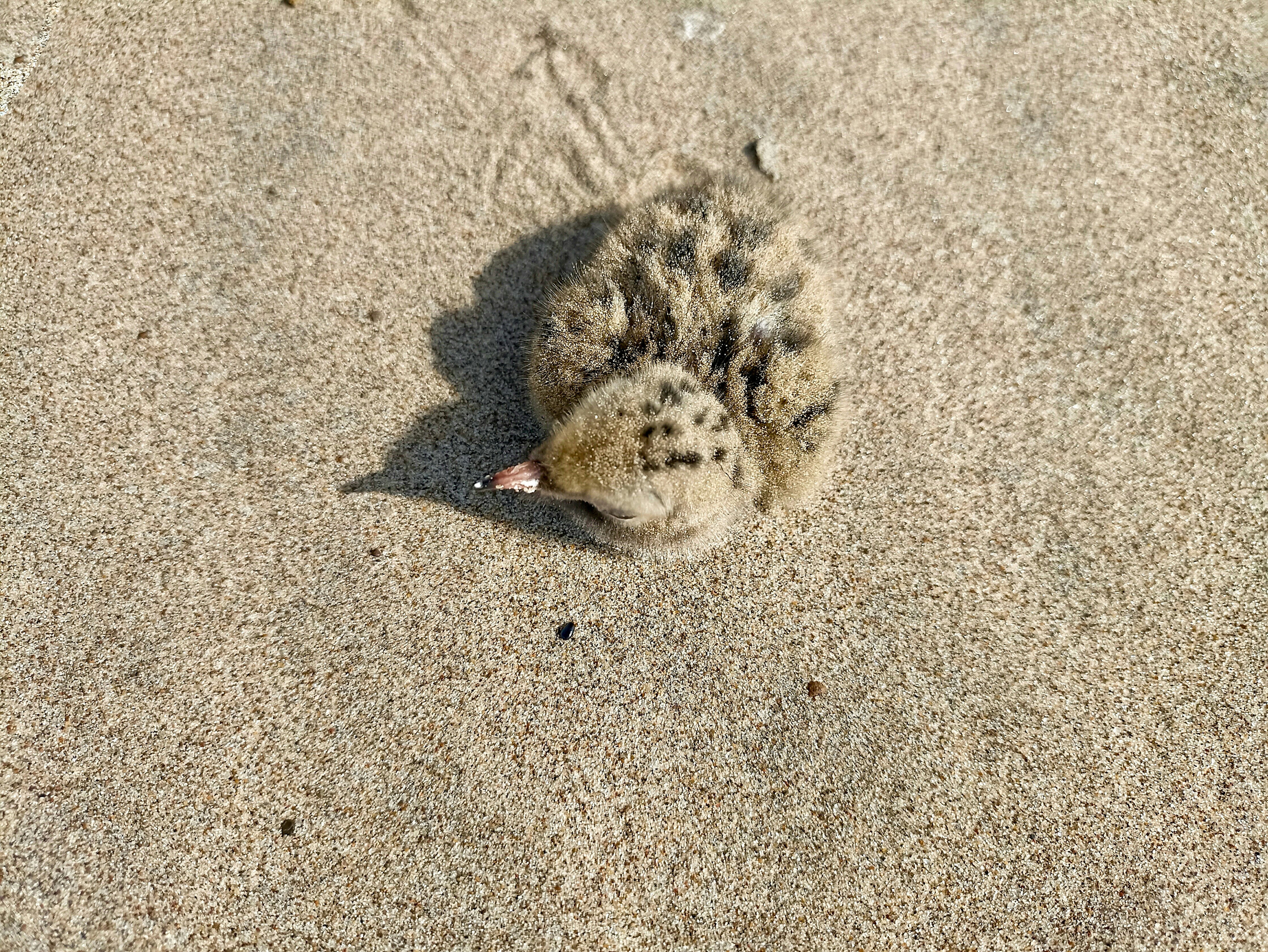 Photo by Екатерина Дьяченко with Xiaomi Redmi Note 10S