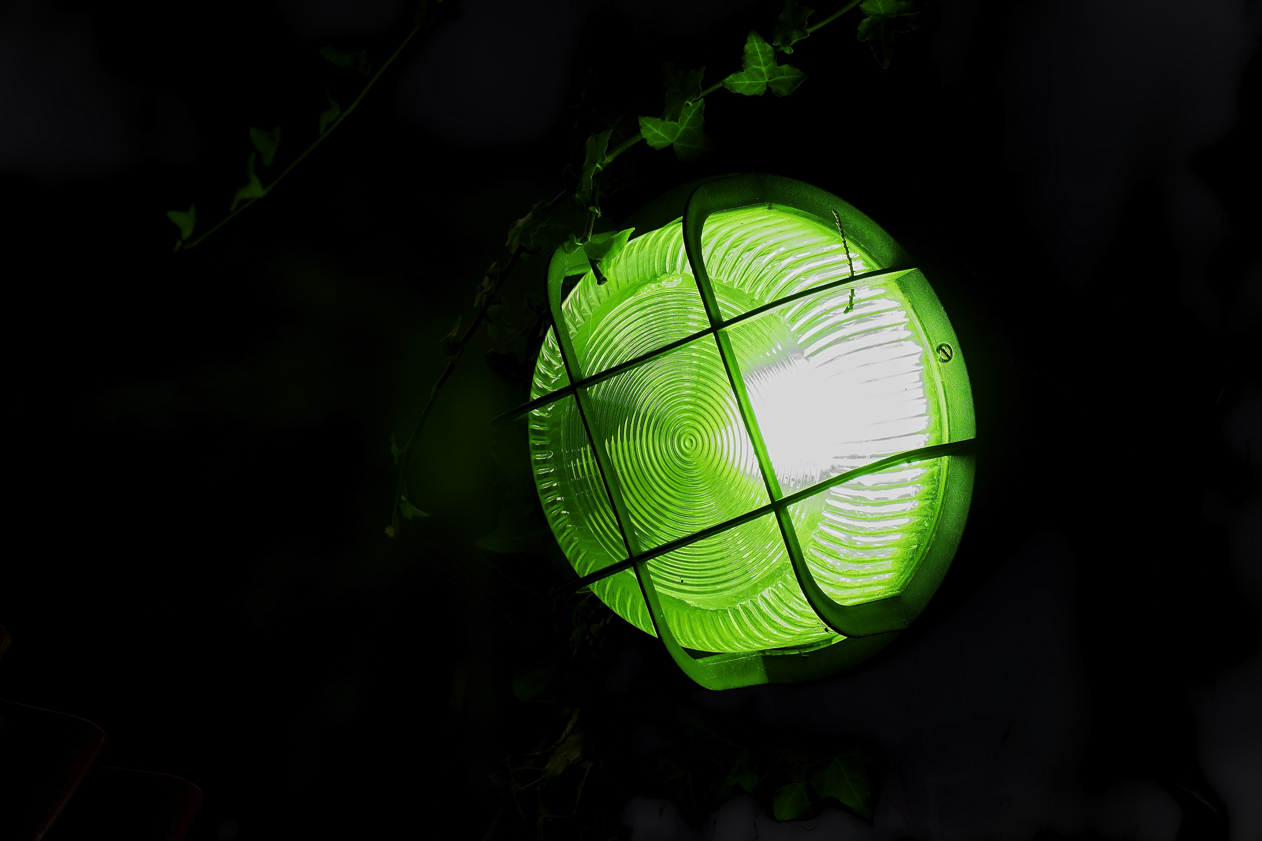 Emerald Gridlight in the Night Garden