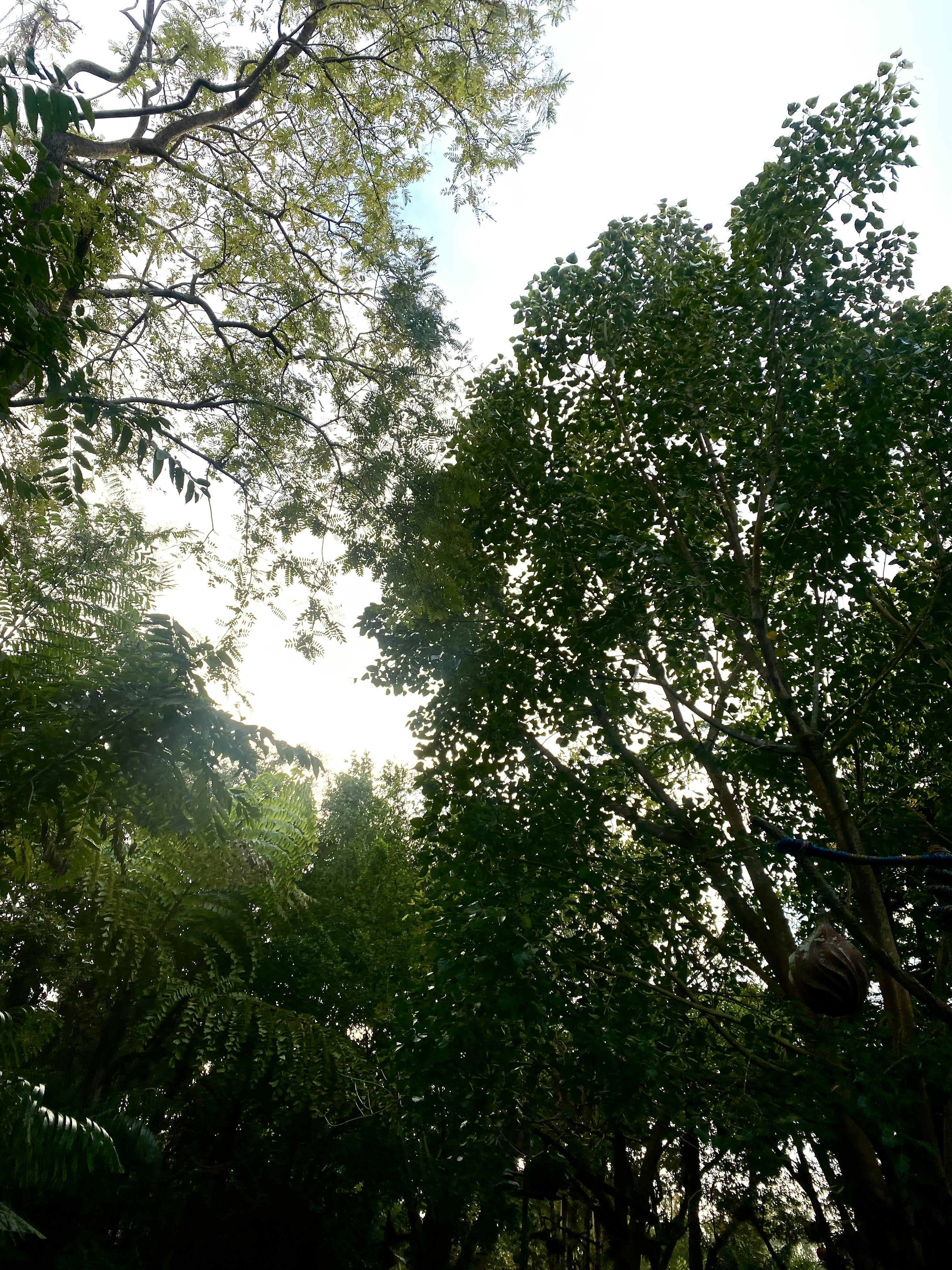 Photo by autumn_ schroe with Apple iPhone 11