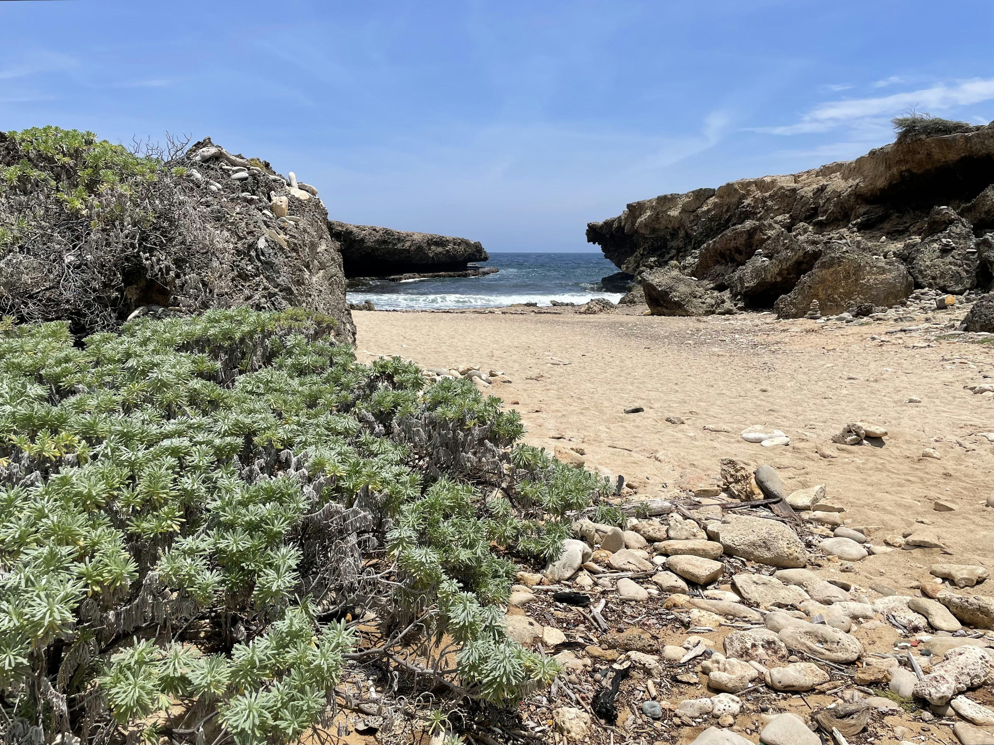 Photo by Floris Andréa with Apple iPhone 12