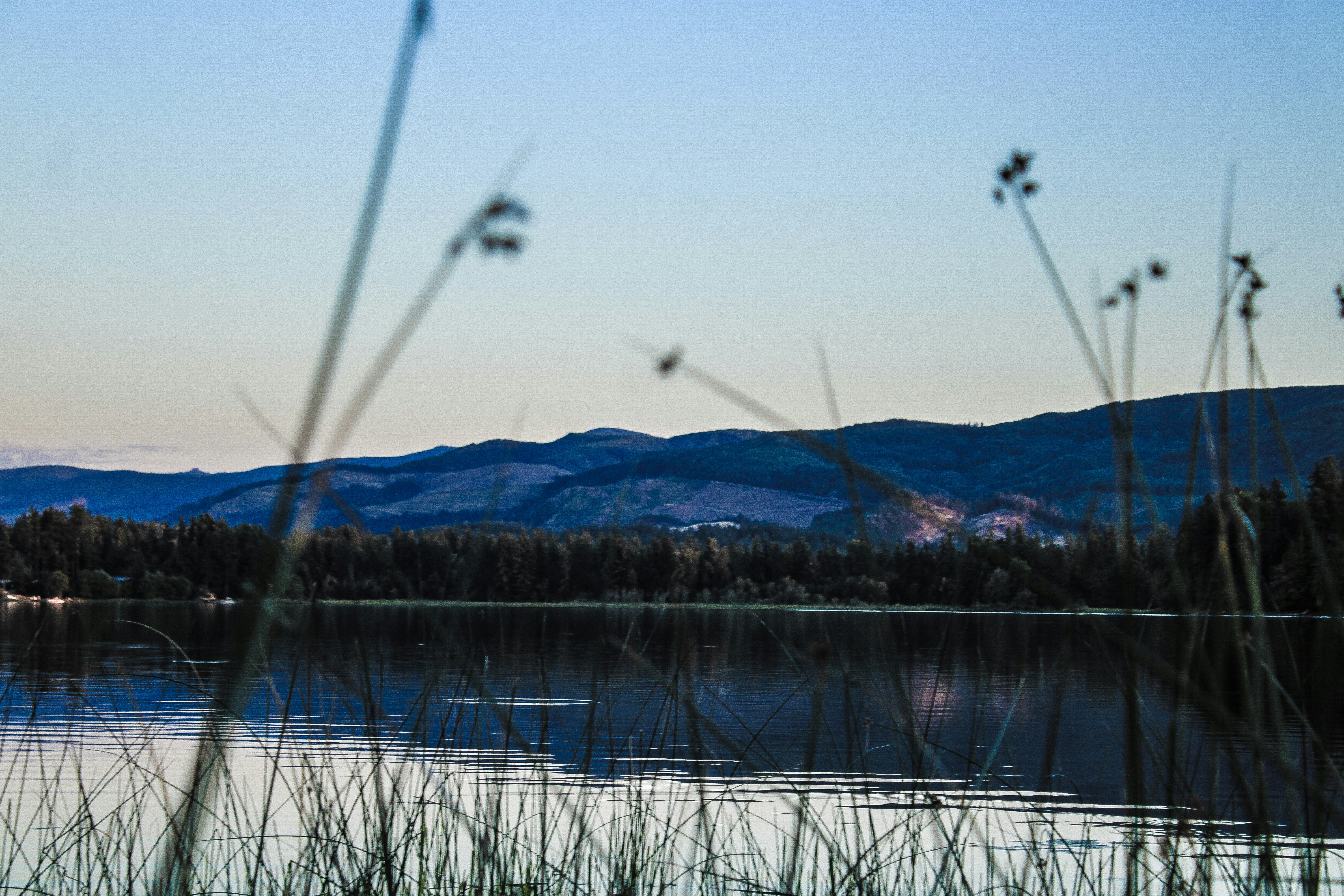 A body of water with mountains in the background photo – Free Lake ...