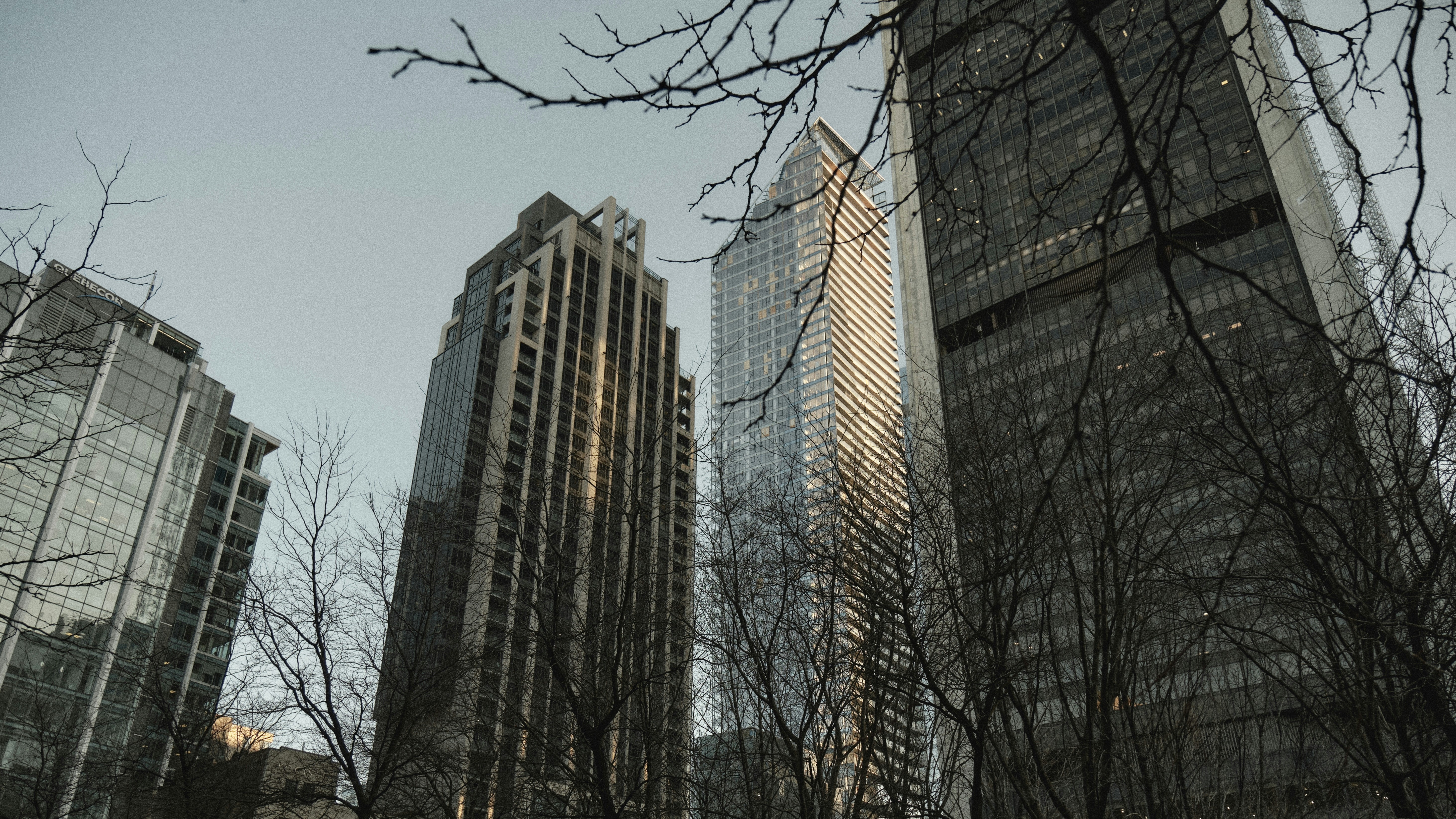 Photo by snap shoot with Fujifilm X-Pro2