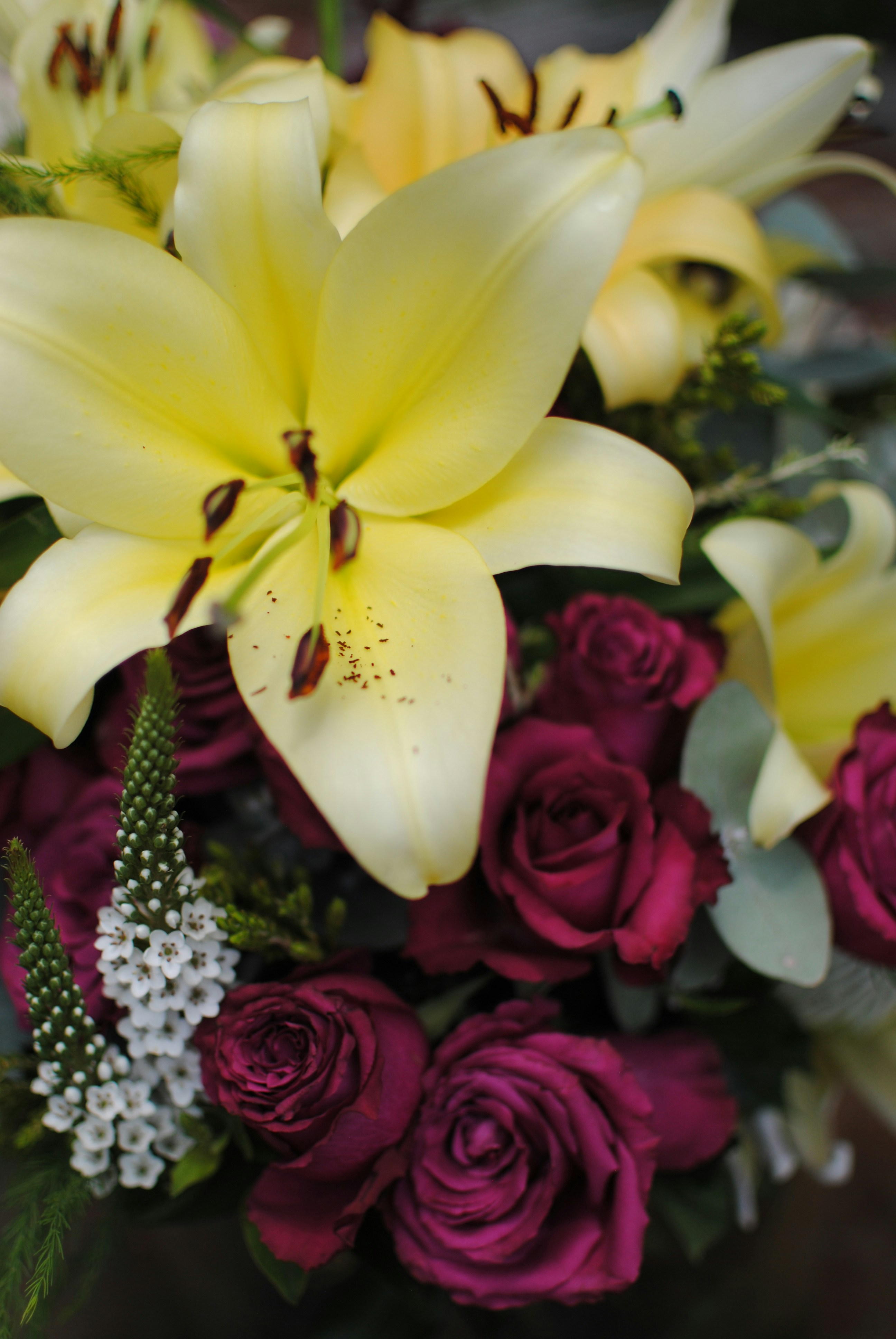 Sunlit Lily at the Heart of a Velvet-Rose Bouquet