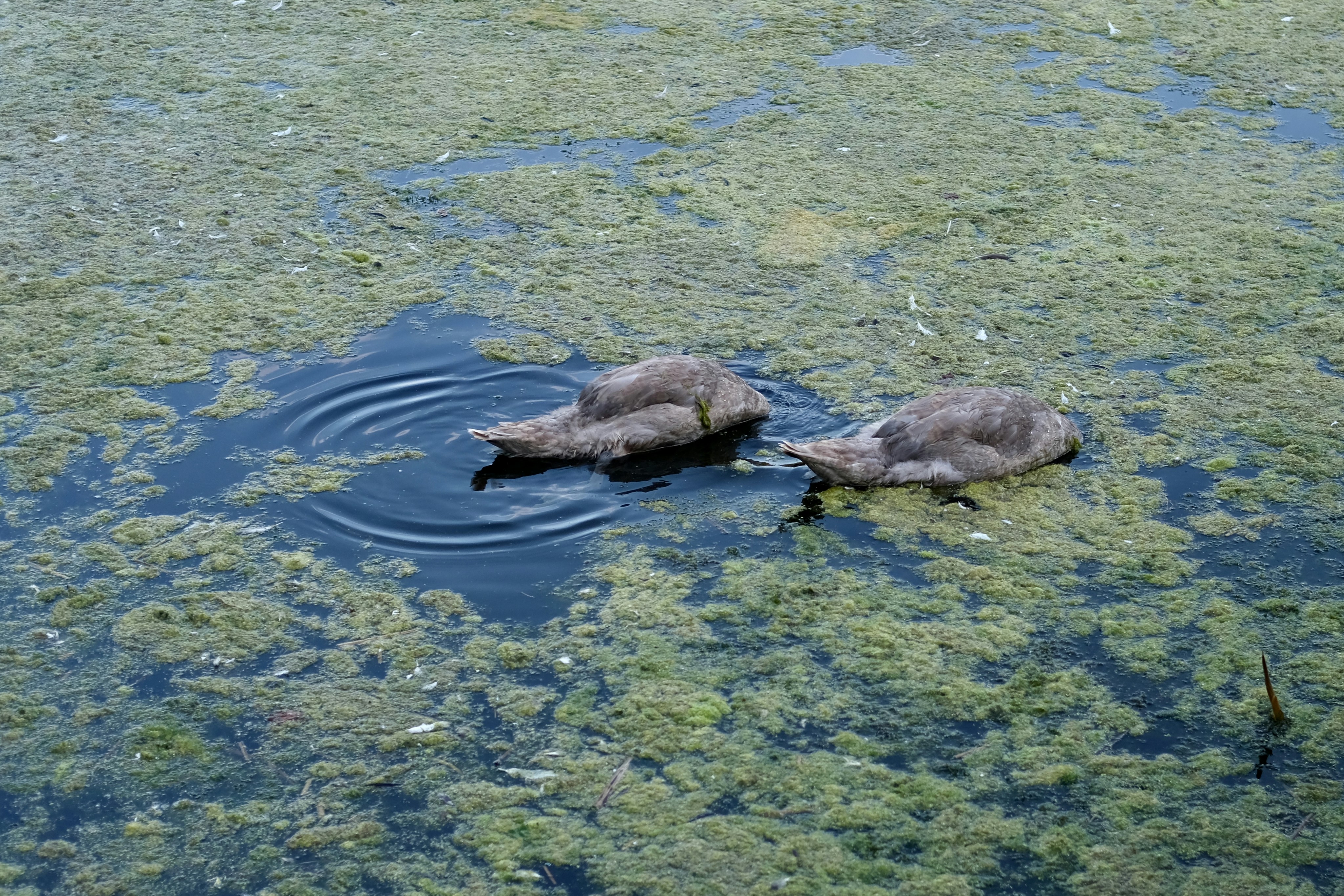 Photo by Peter Heymans with Fujifilm X-T30