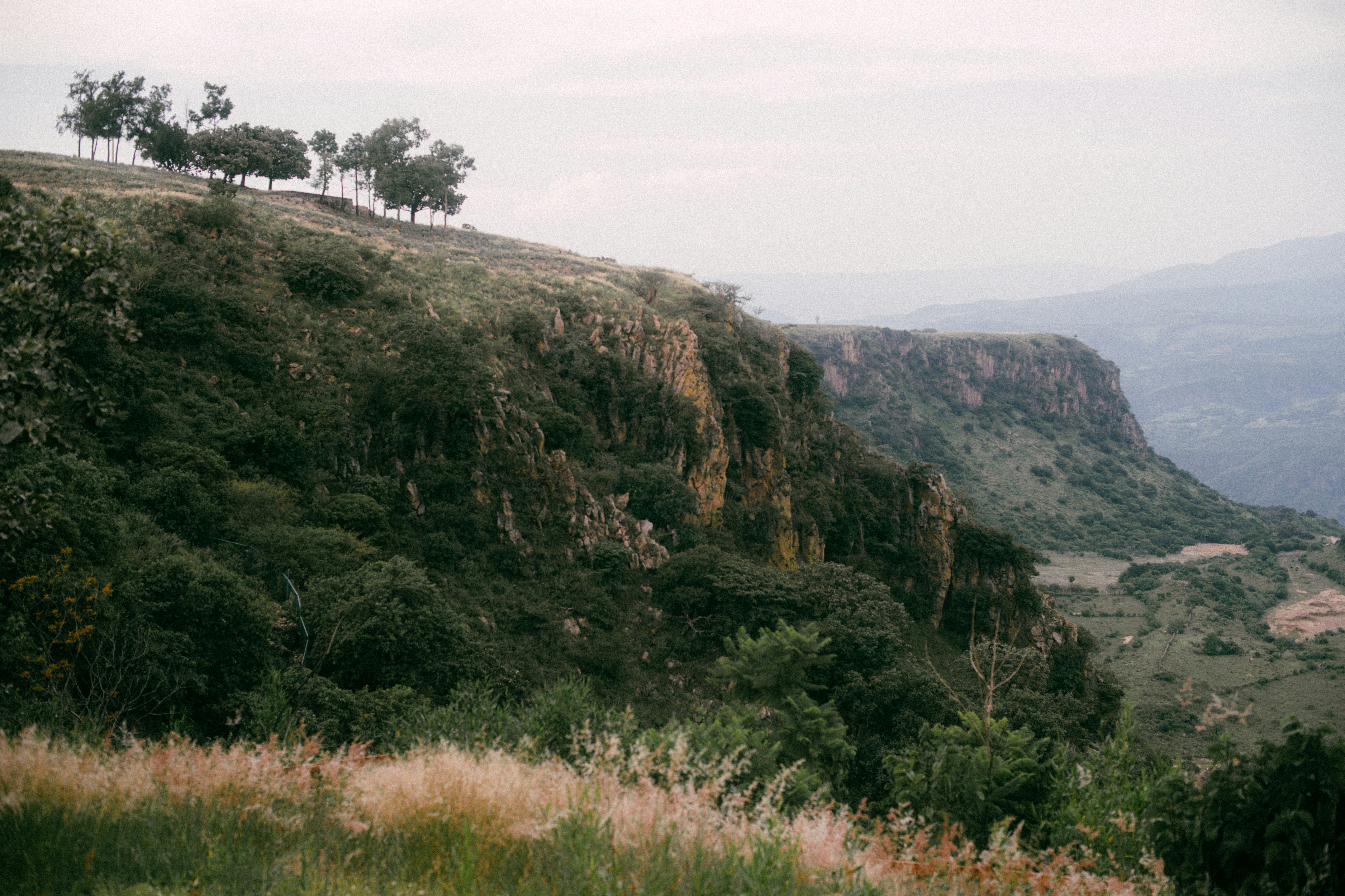 Photo by BRUNO CERVERA with Sony Alpha 7 IV