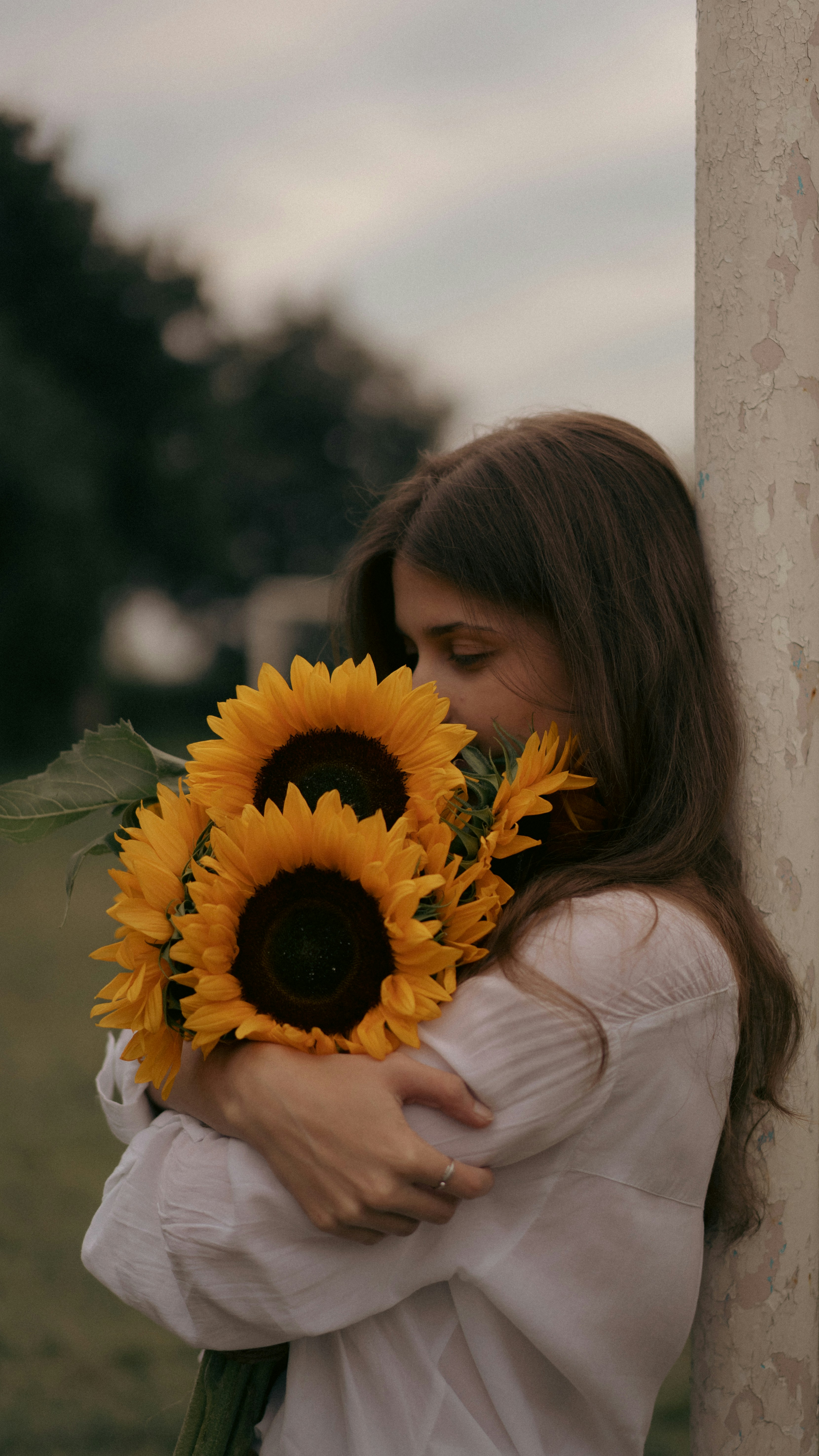 A woman is hugging a pole with a large sunflower photo – Free ...