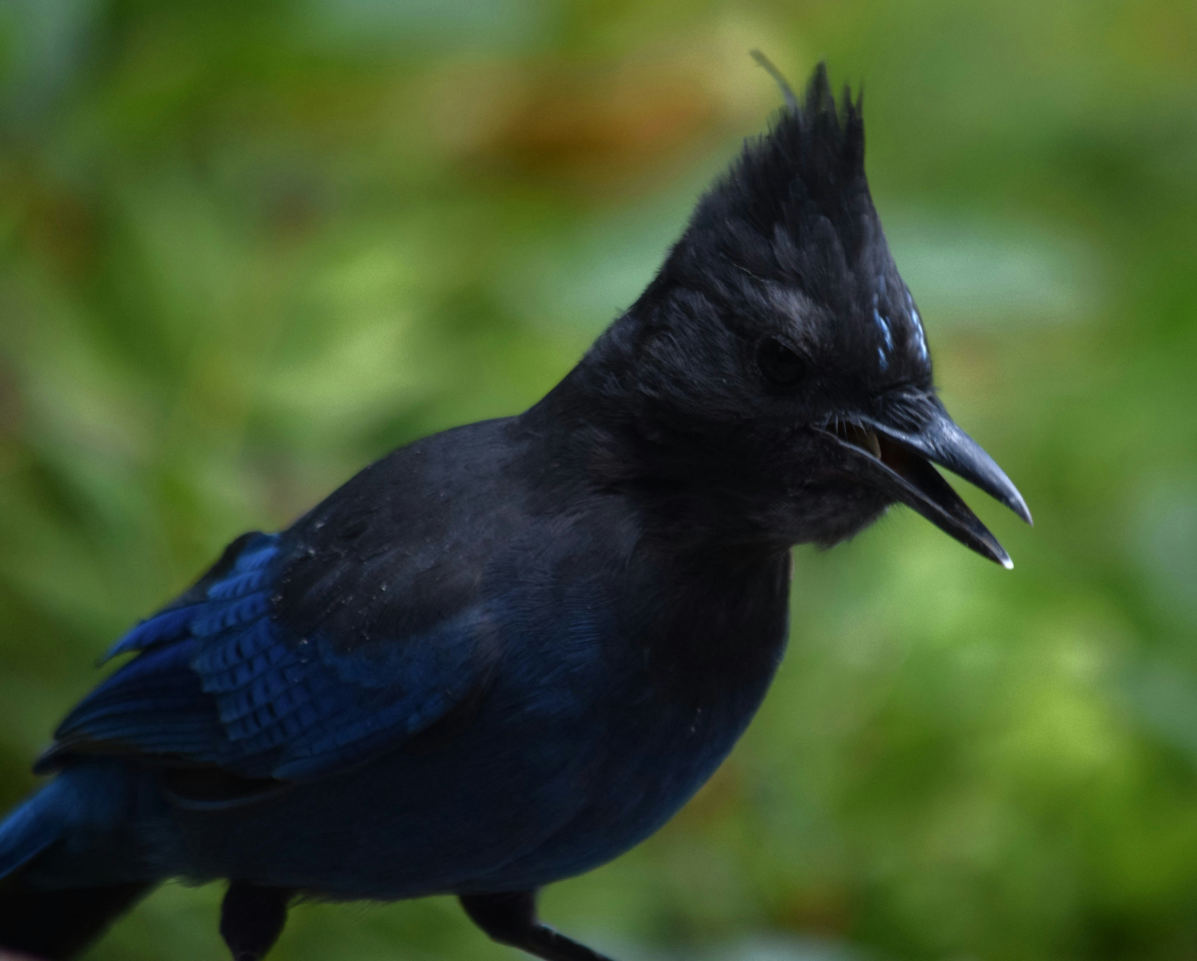 Photo by fr0ggy5 with Nikon D3300