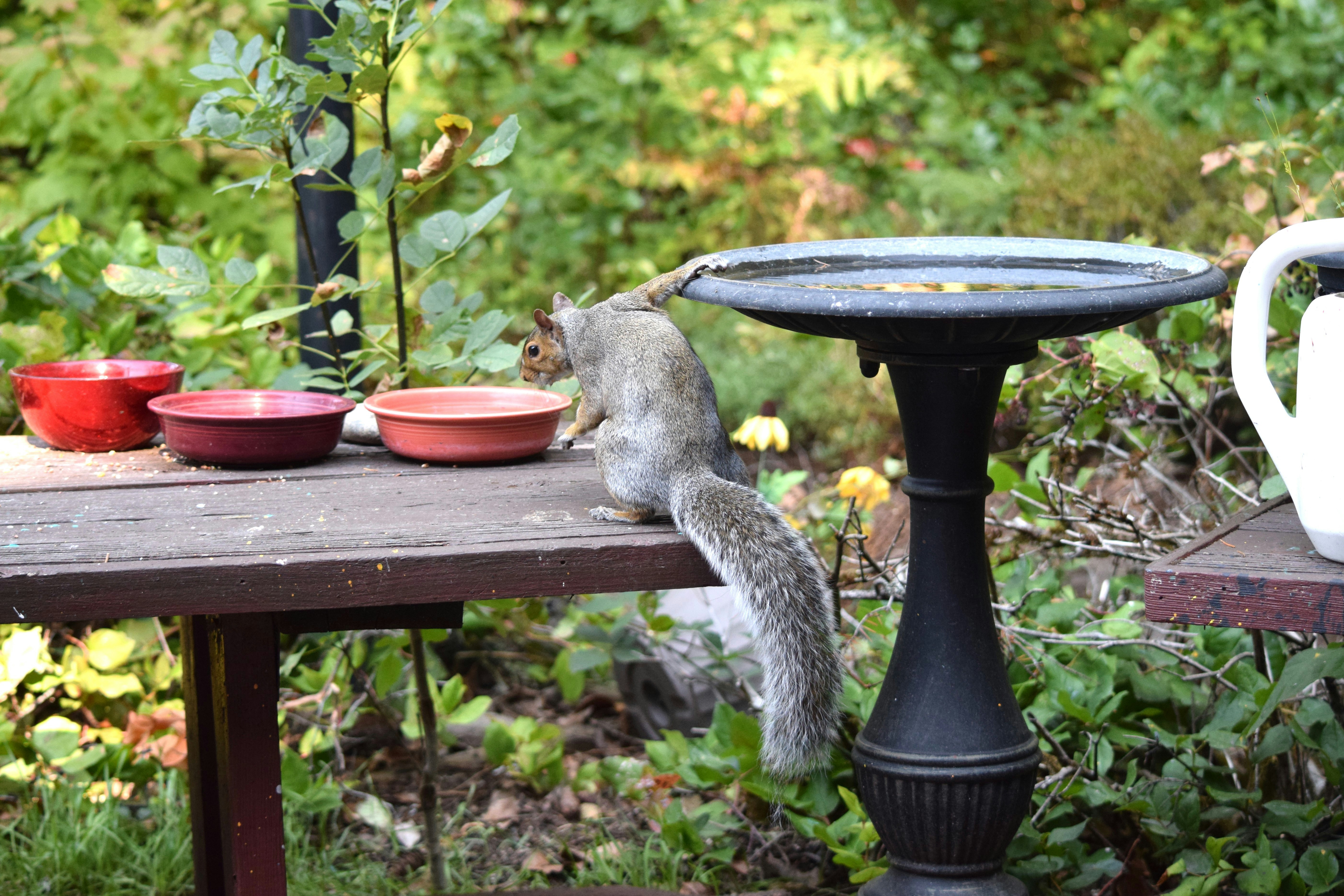 Photo by fr0ggy5 with Nikon D3300