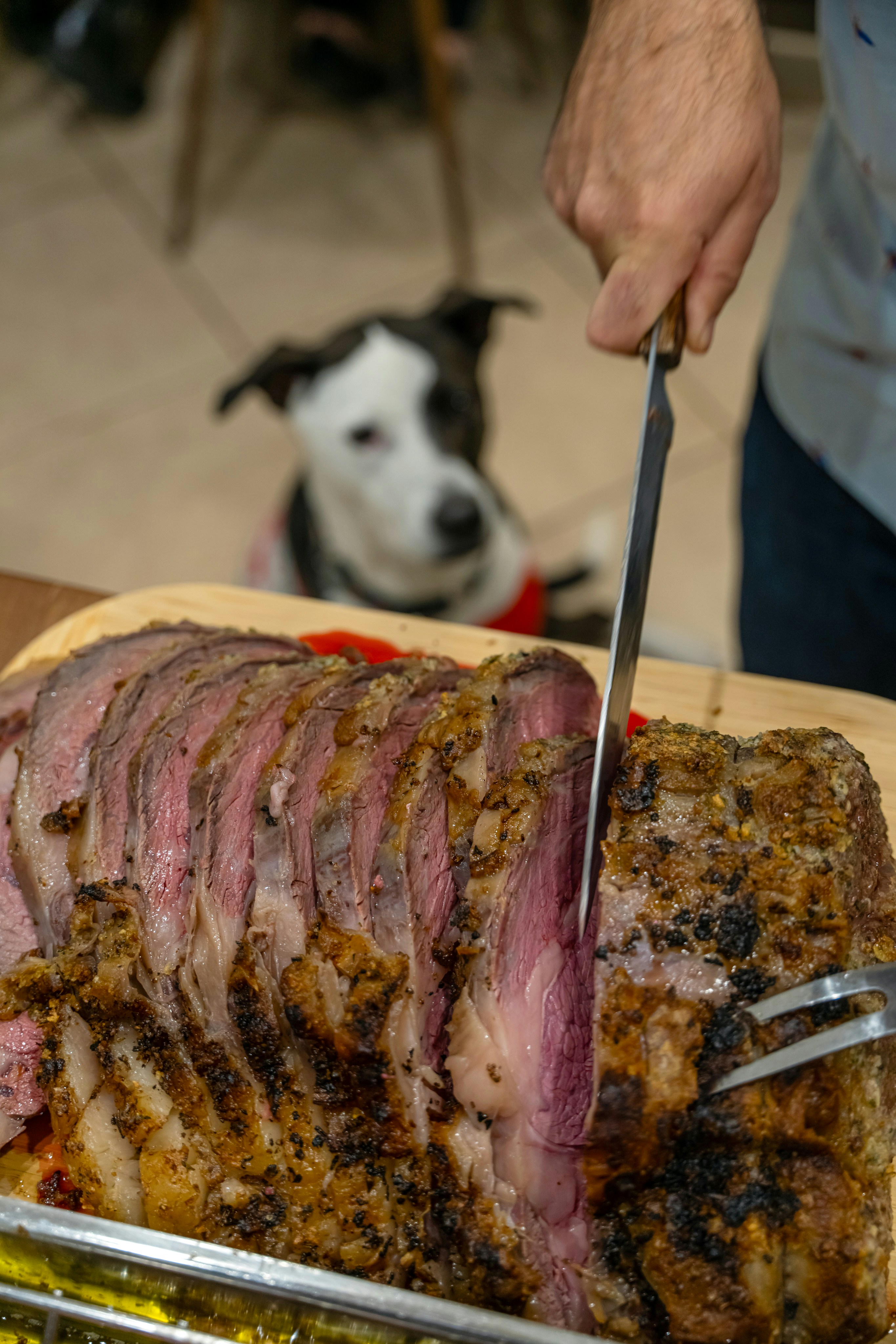 Carving Velvet Roast: pink-centered slices reveal tenderness as a curious dog watches