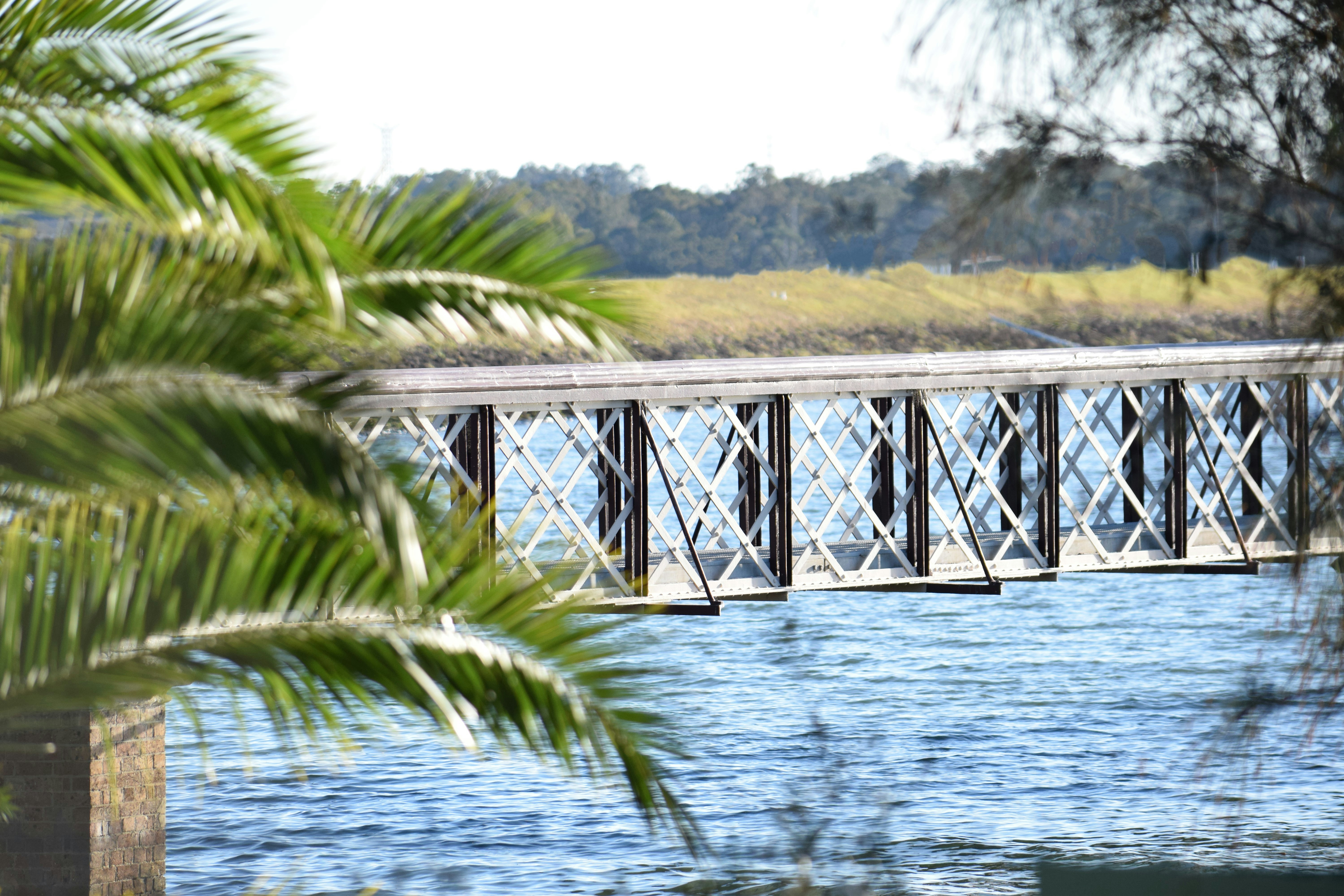 Lattice Bridge over Calm Bay, Fronds in the Foreground