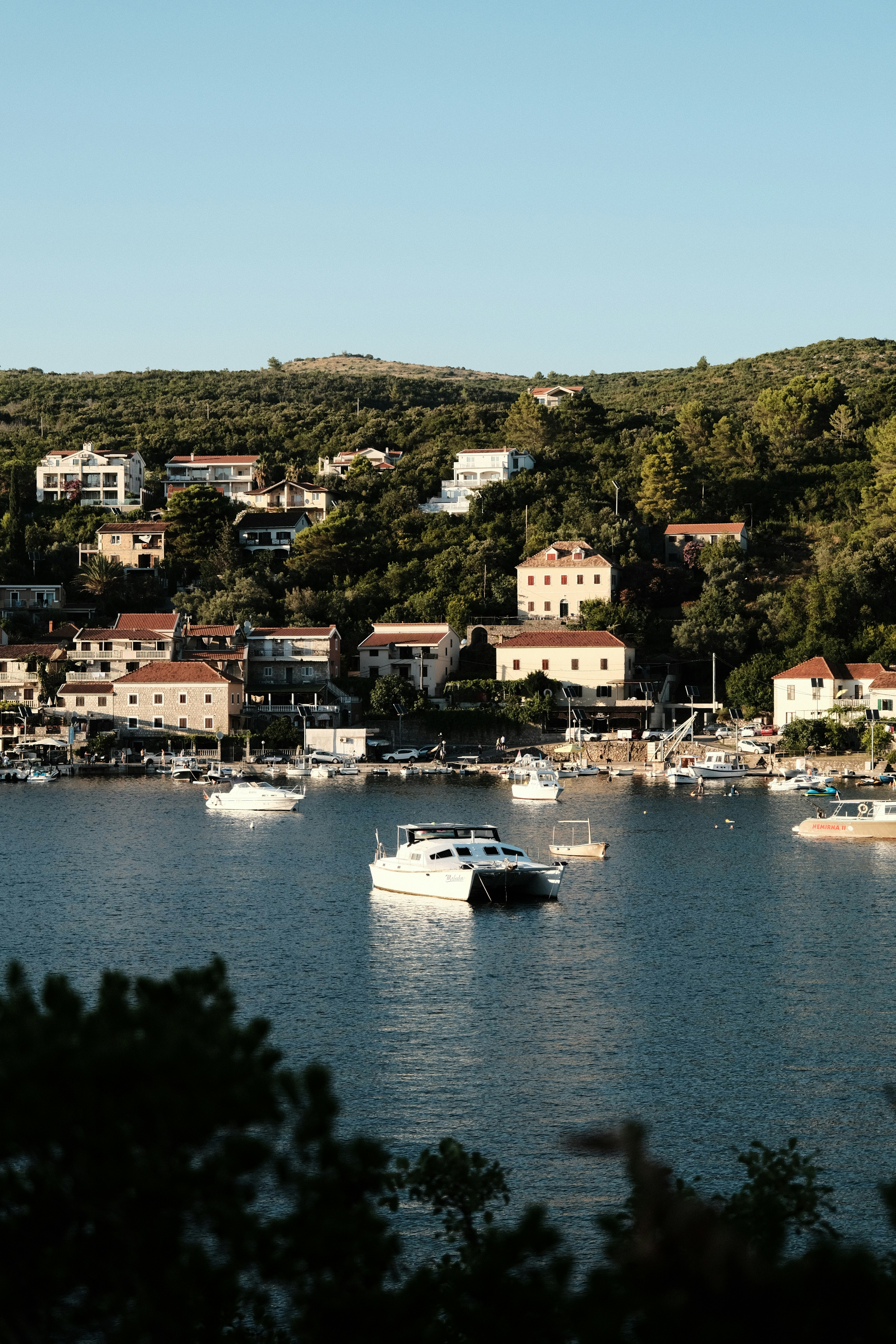 Un puerto lleno de muchos barcos junto a una exuberante ladera verde ...