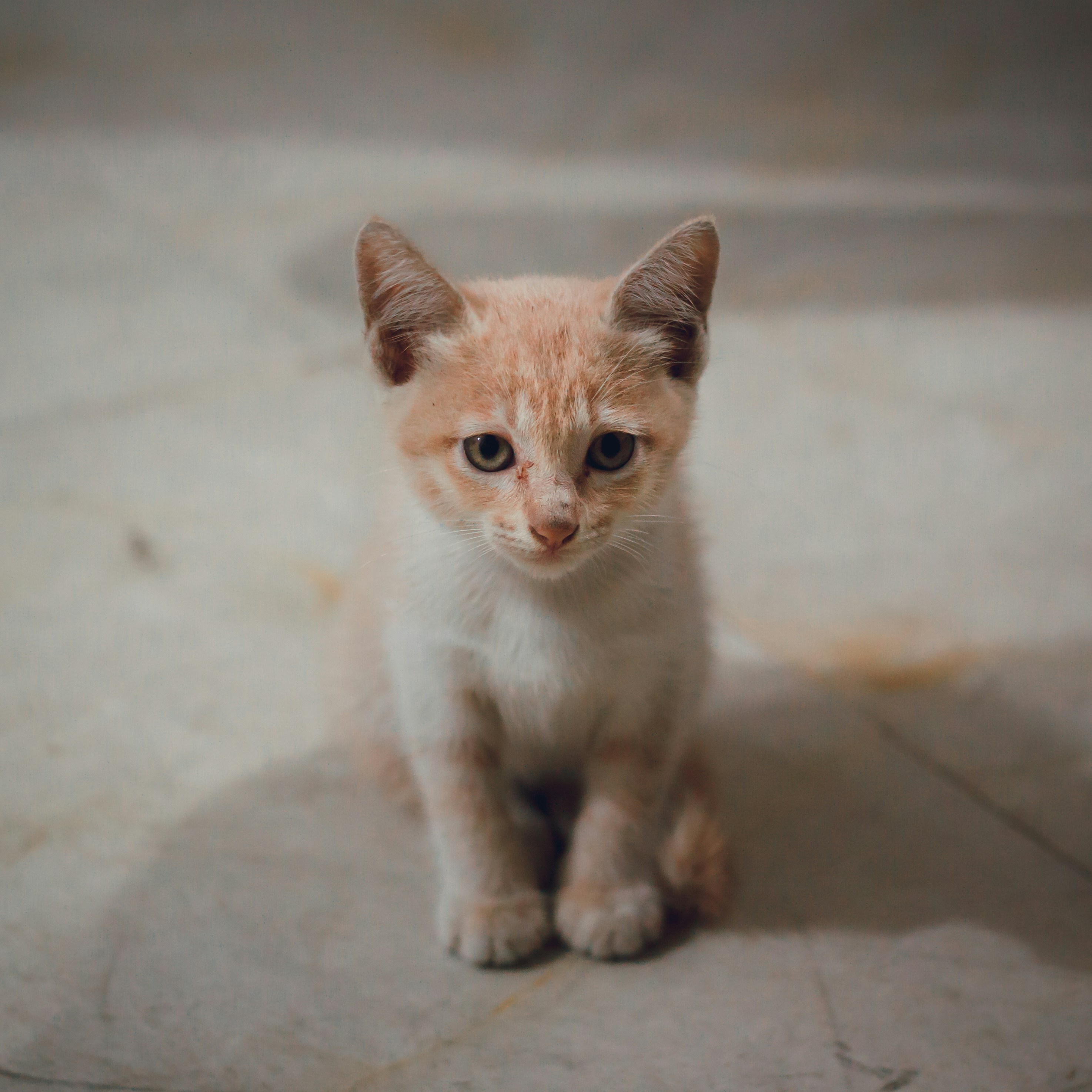 Photo by Le Thanh Son with Canon EOS 50D