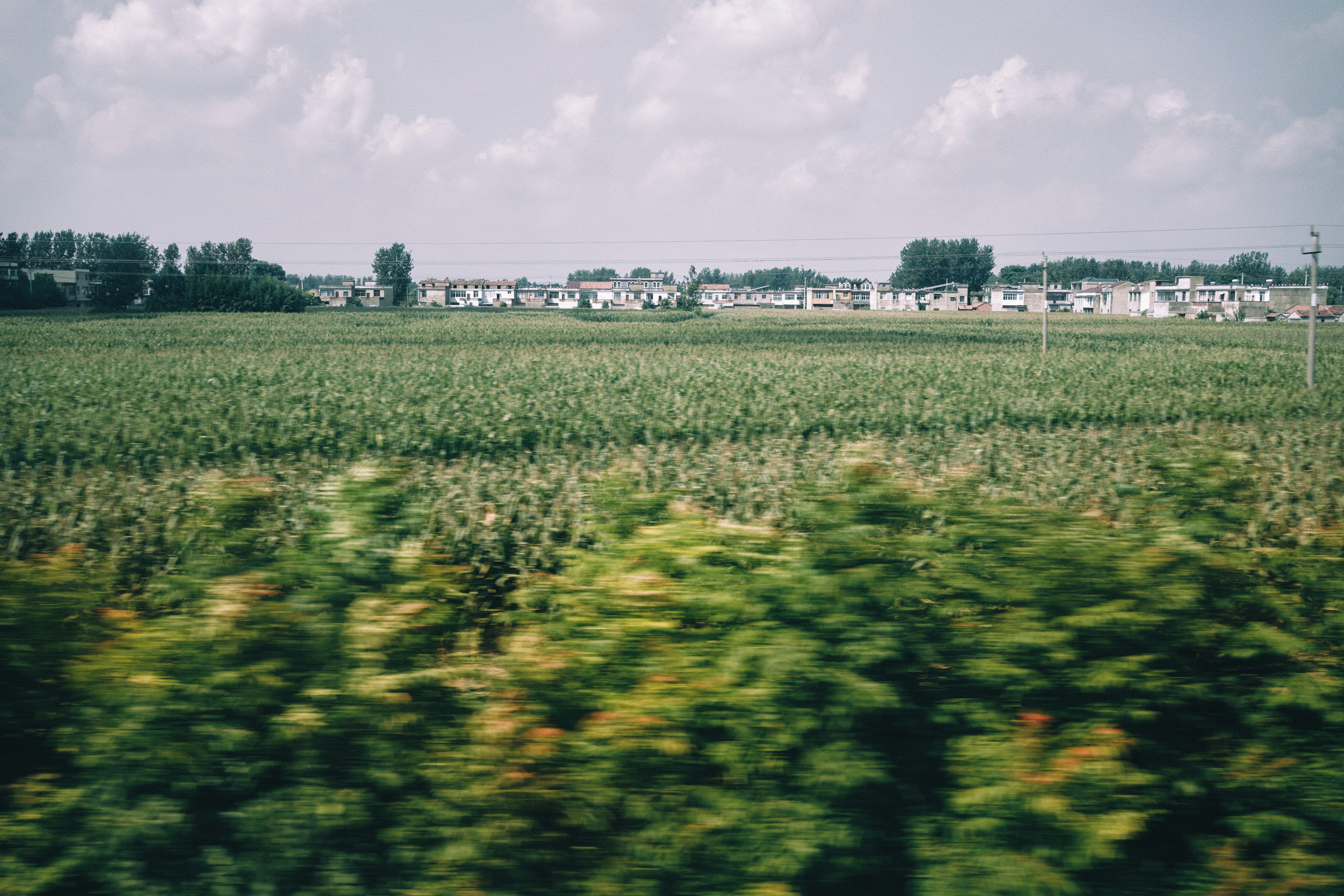 Horizon of Quiet Farmscape