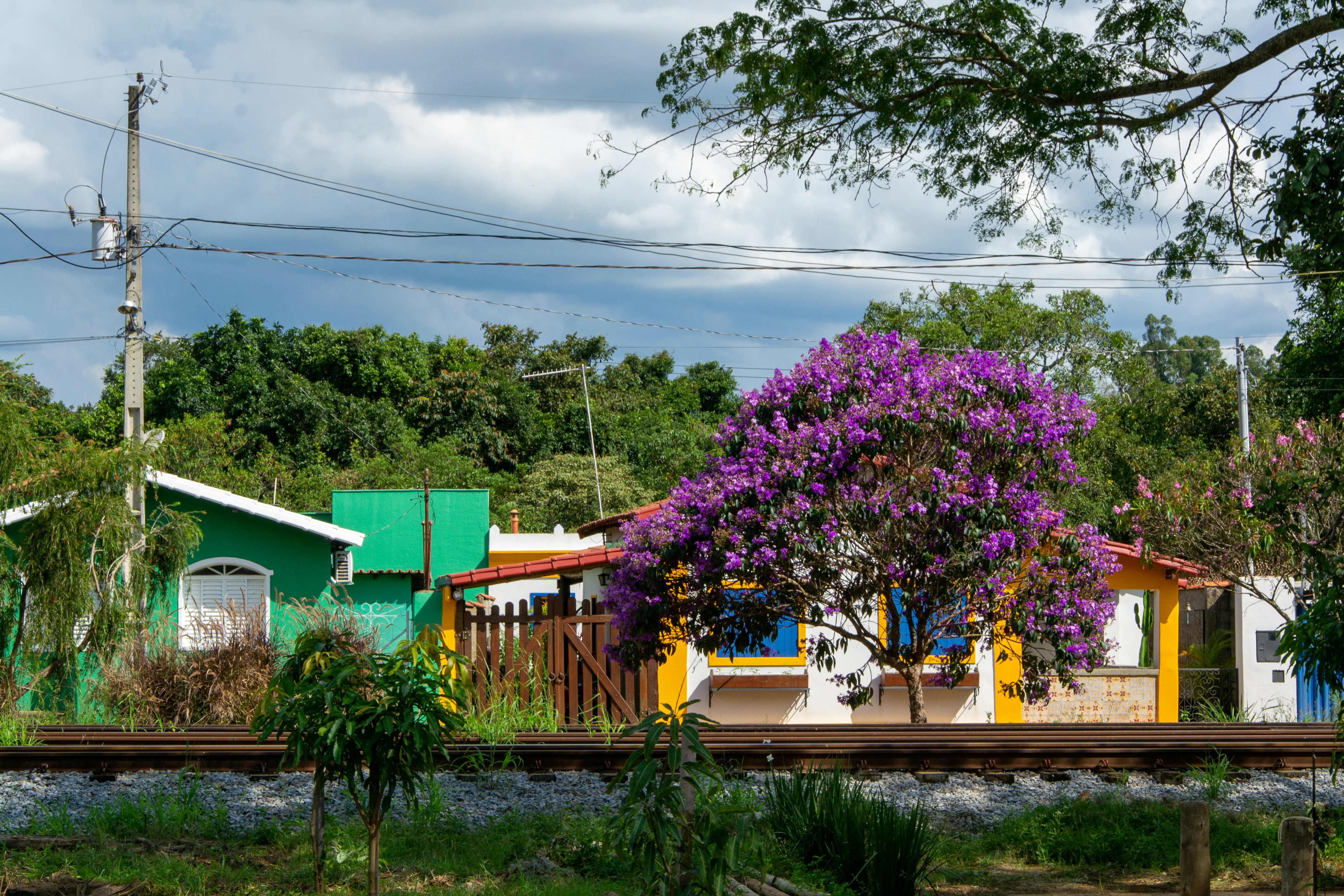 Train tracks framed by a green building and vibrant purple-flowered tree under a cloudy sky.