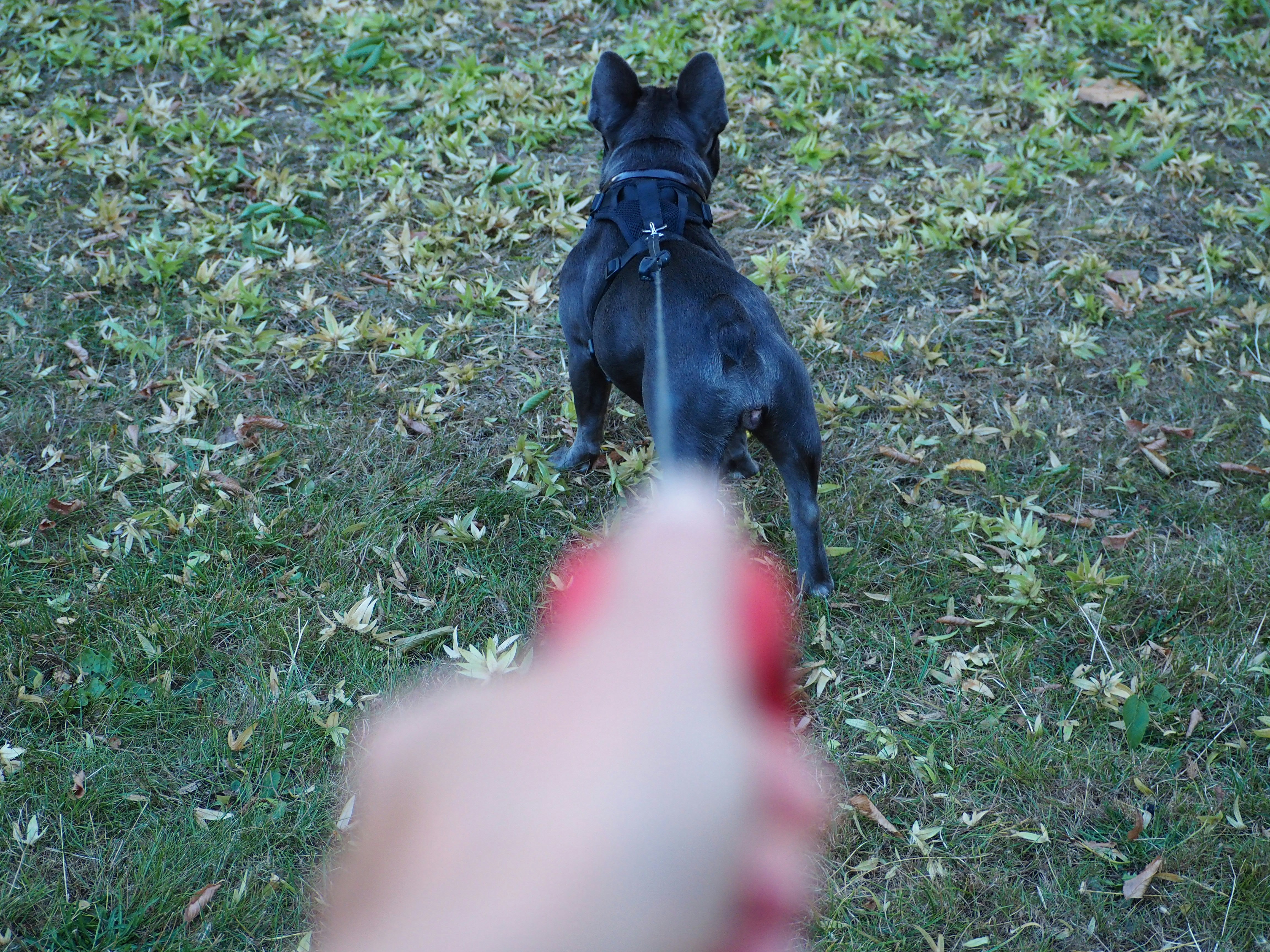 Photo by Pilar Rubio with Olympus OM-D E-M10 Mark II