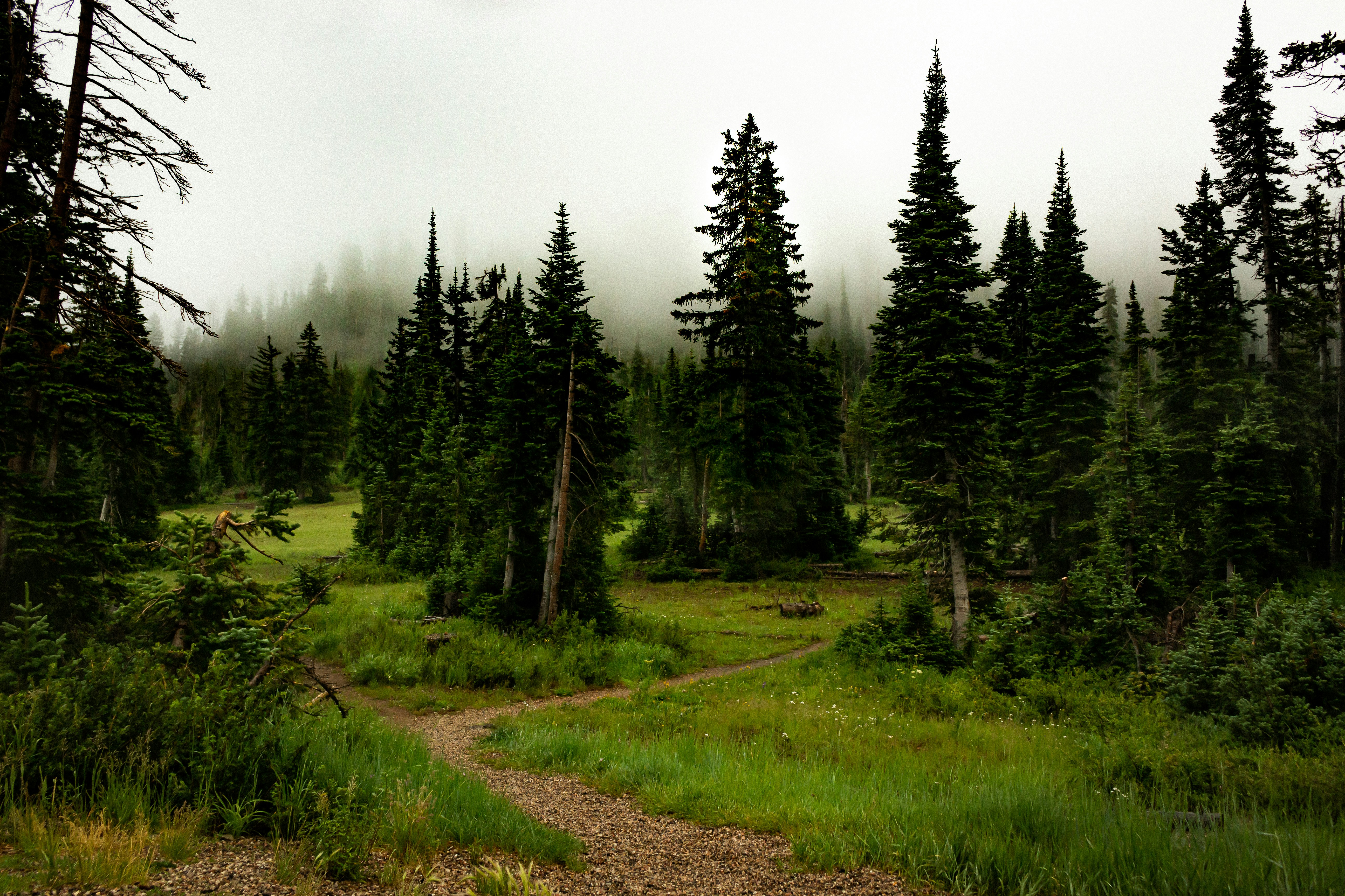 Josh Walker (@joshwalker24) | Comunidade de fotos da Unsplash