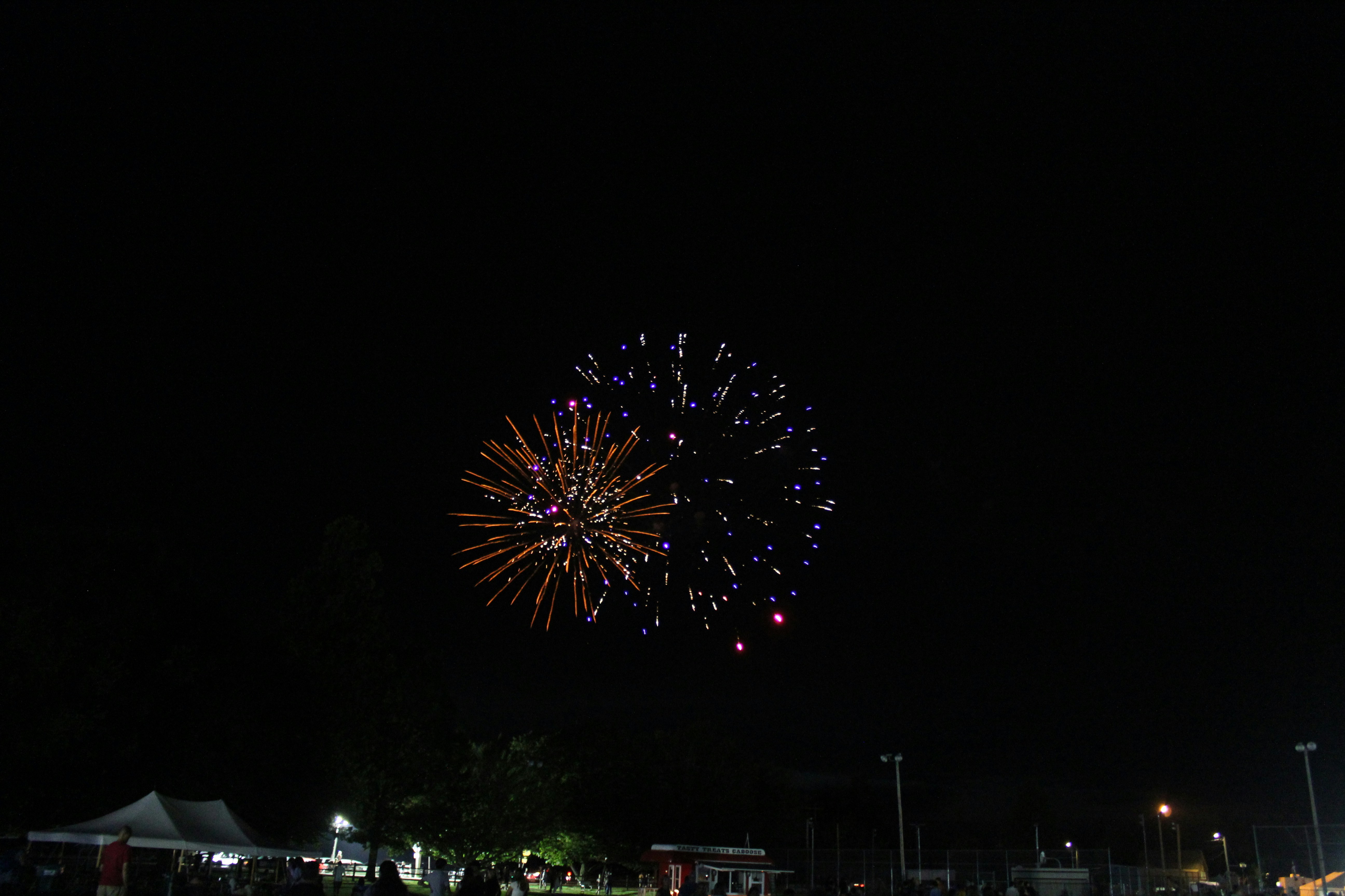A fireworks display is lit up in the night sky photo – Free Hollis ...