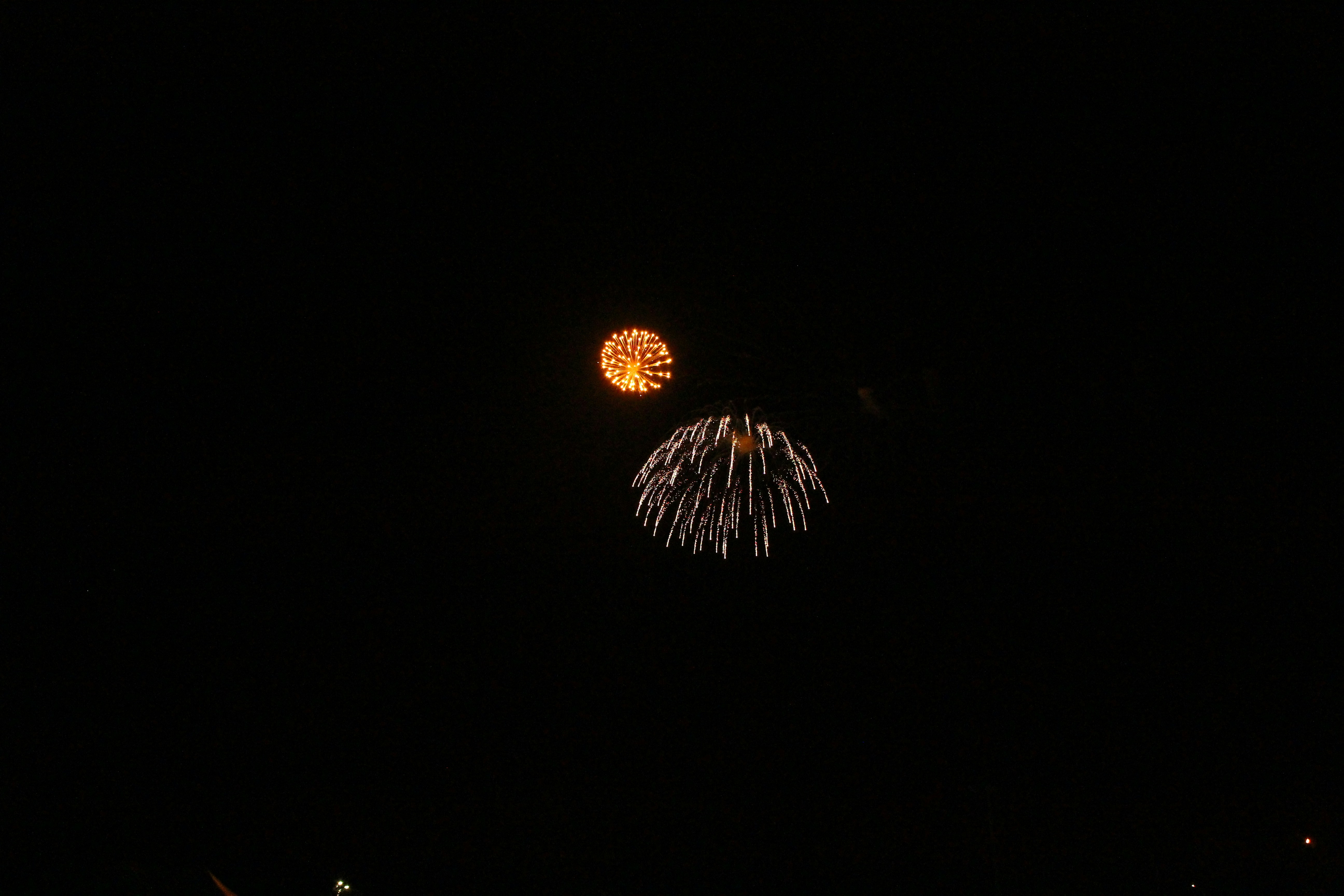 Twin Firework Bursts Over a Silent Night Sky