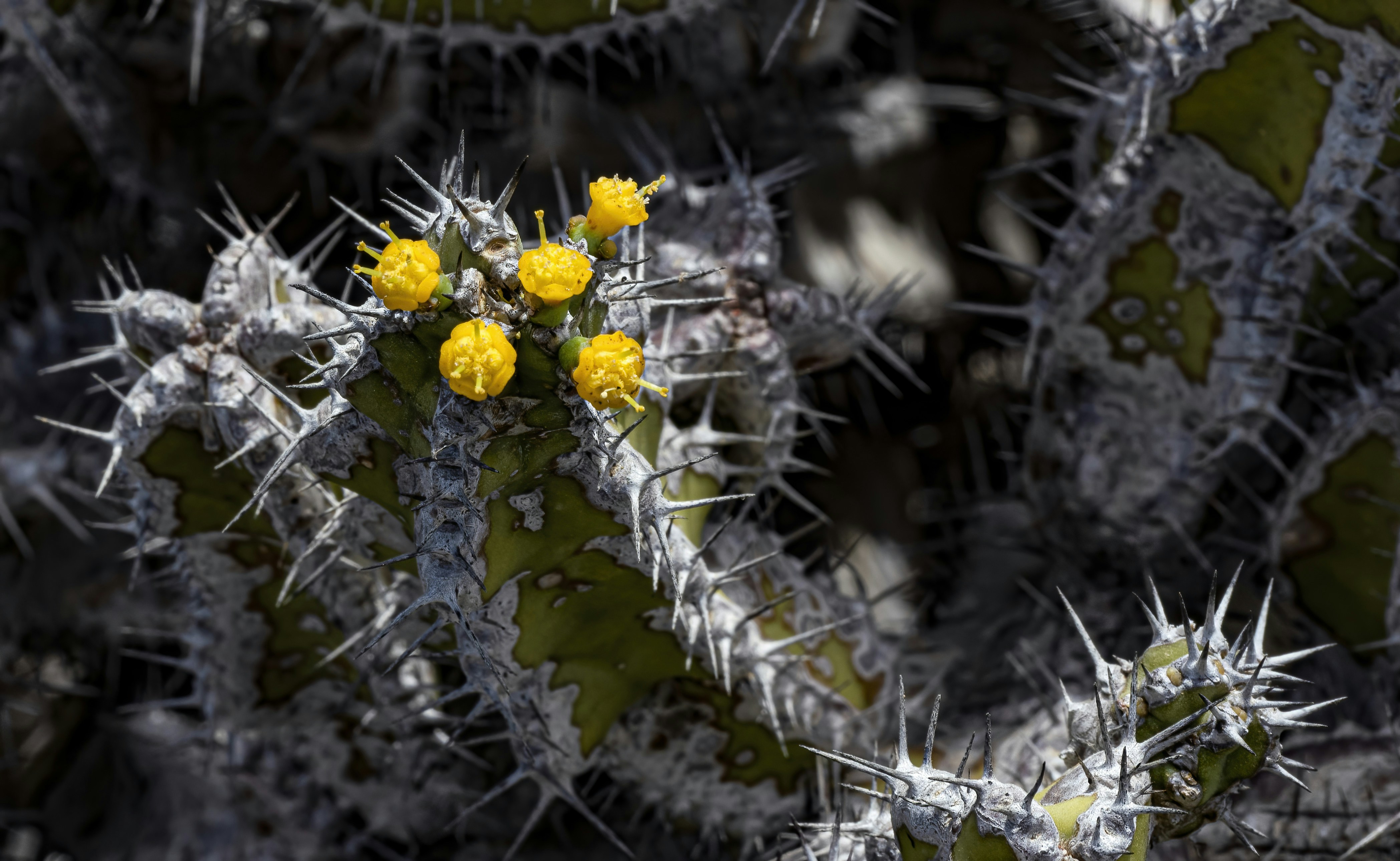 Photo by Marian Florinel Condruz with OM System OM-1