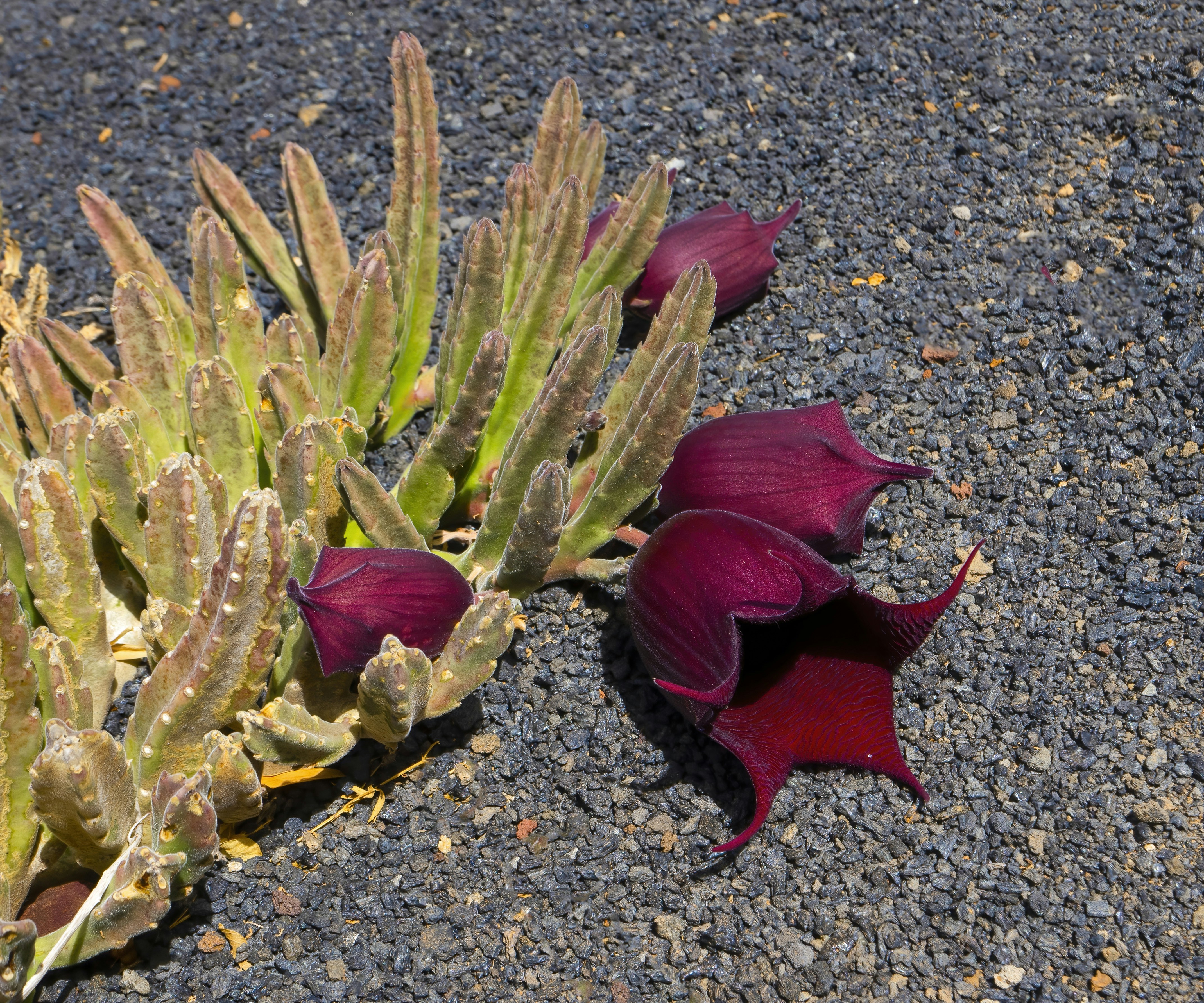 Photo by Marian Florinel Condruz with OM System OM-1