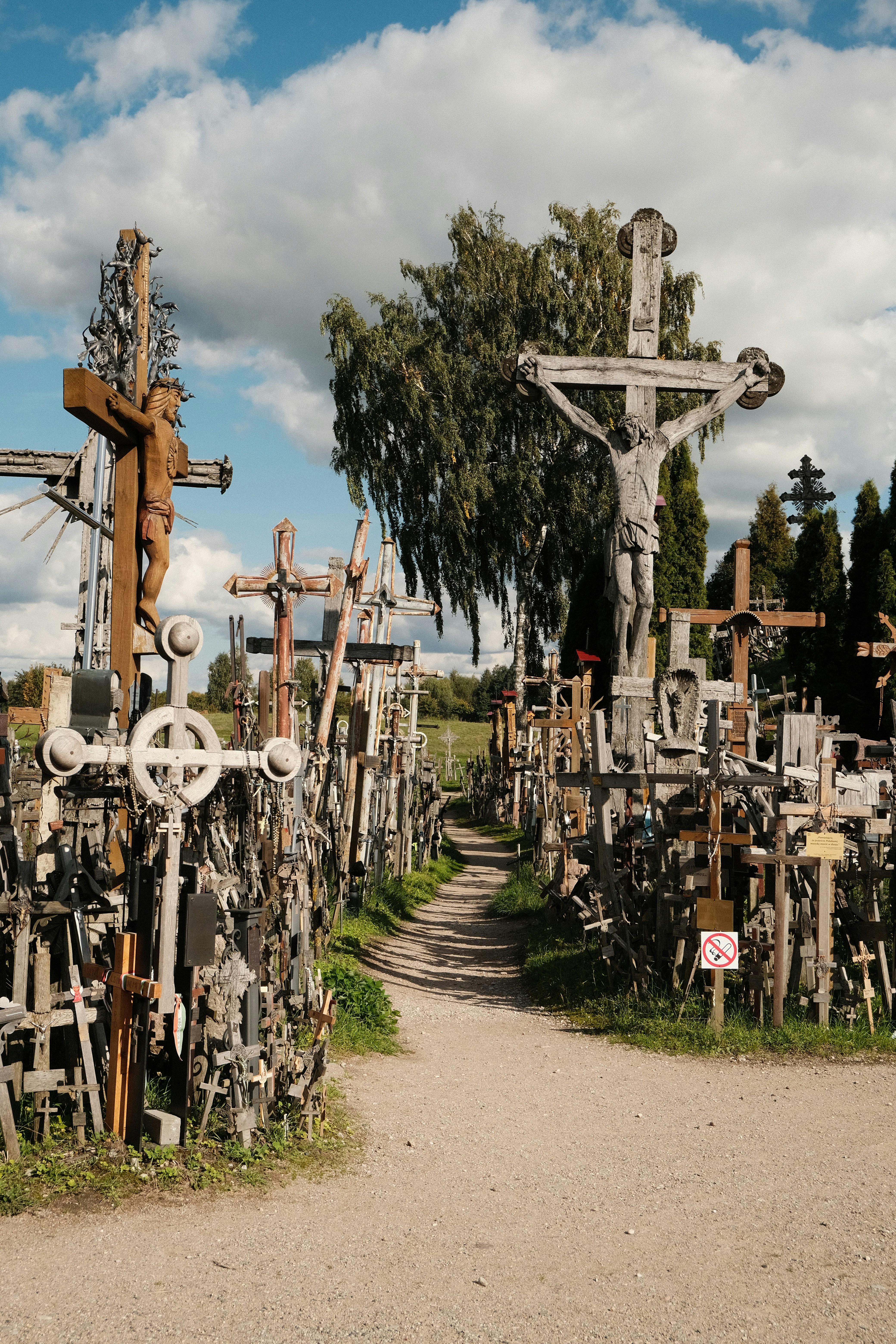 Whispers of Remembrance: A Journey Through the Crosses