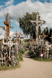 Whispers of Remembrance: A Journey Through the Crosses