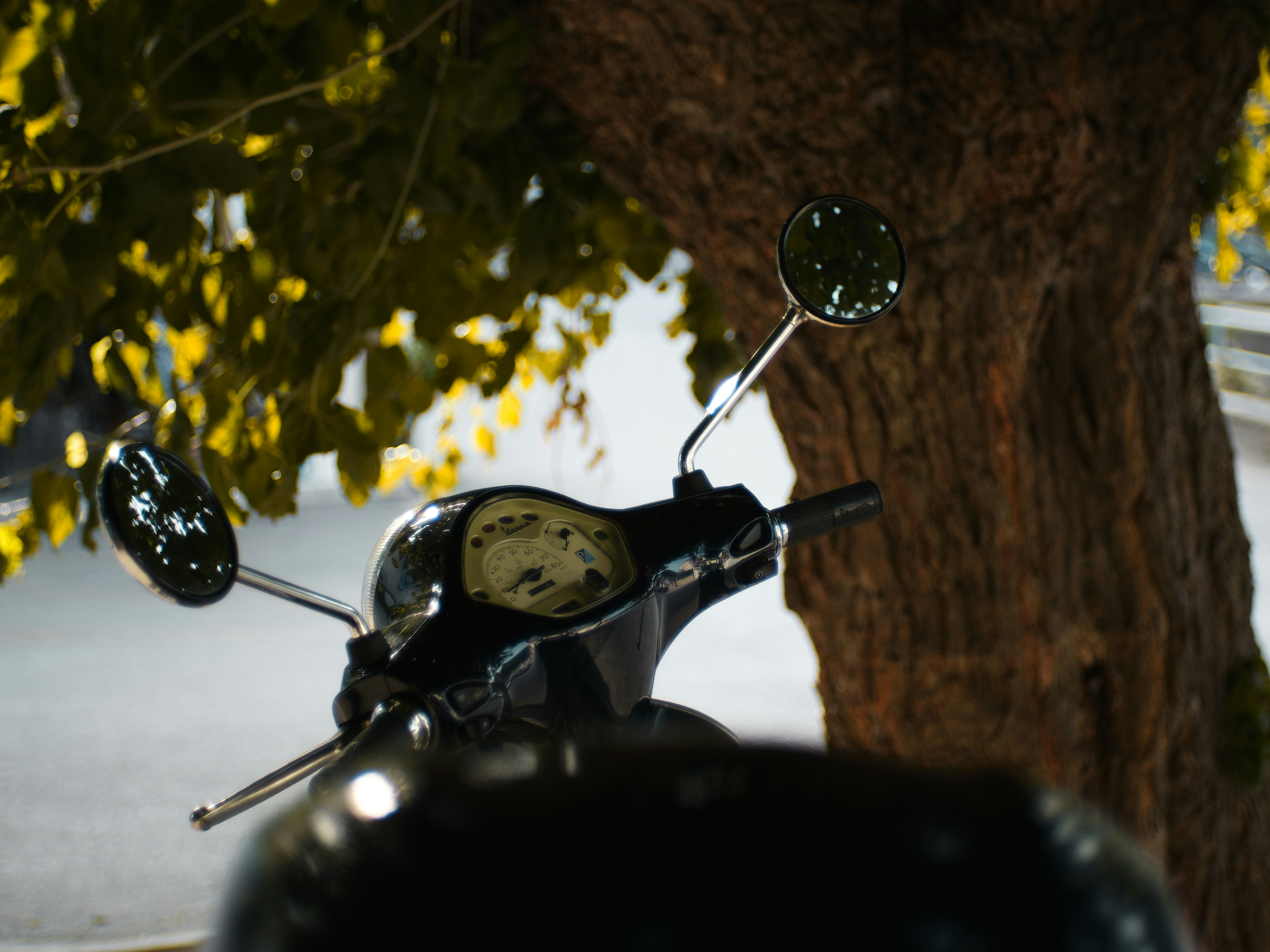 A Quiet Street Pause: The Scooter by the Tree