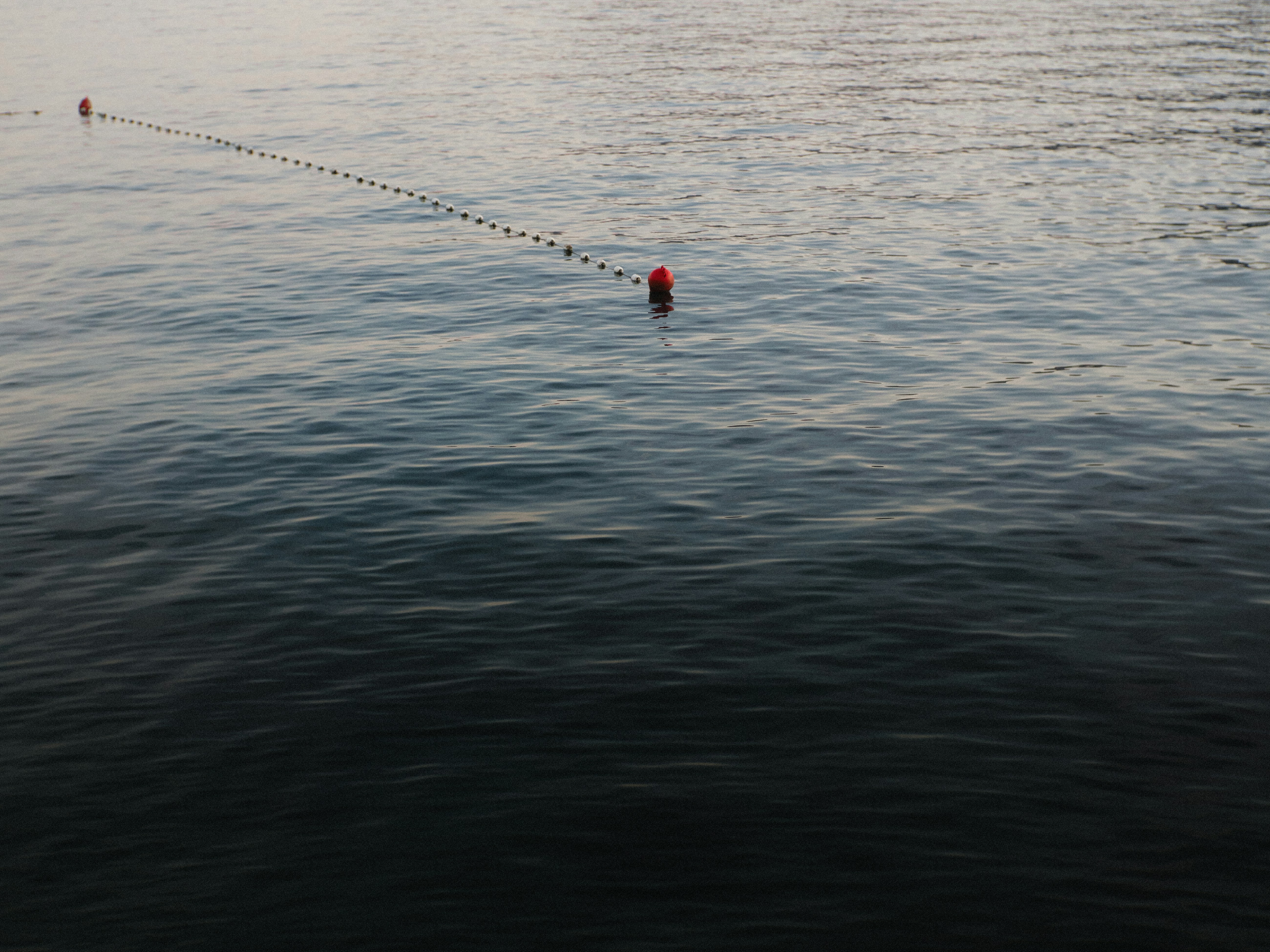 Sample photo from Fujifilm X-S20