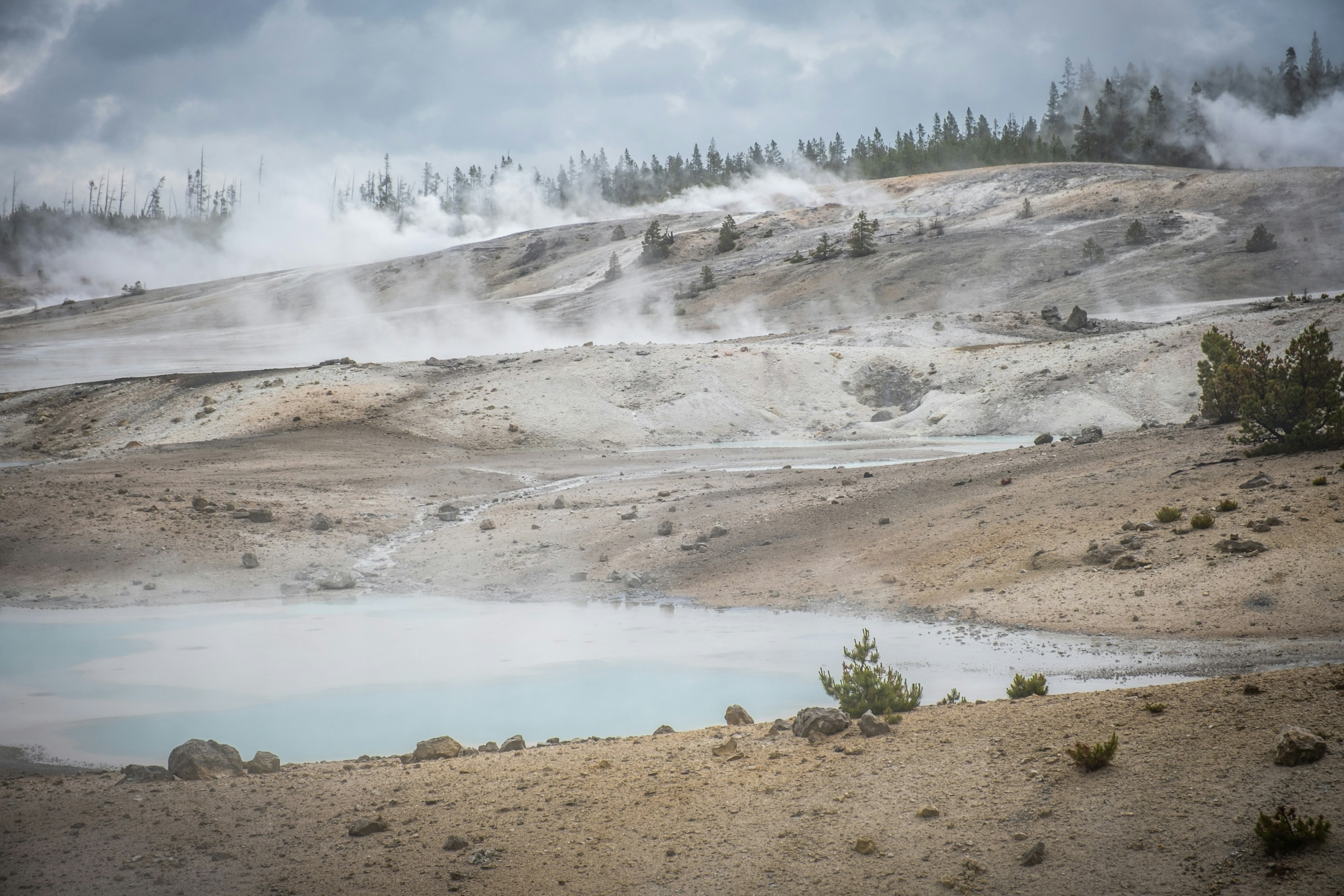 Steam rising from geothermal features amidst a barren landscape dotted with sparse vegetation. The scene captures the raw beauty of Yellowstone's geothermal activity.