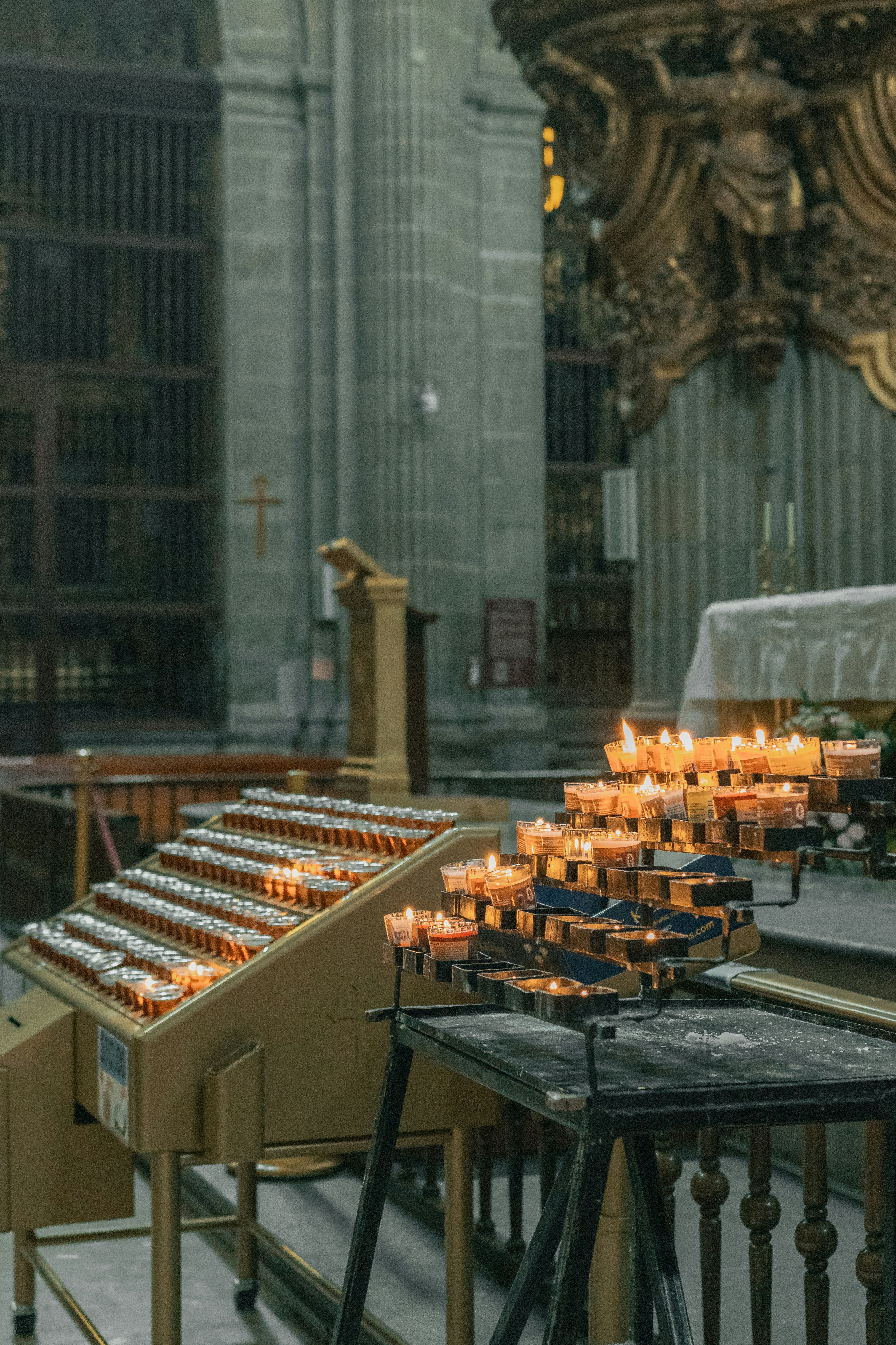 Photo by Roger Ce with Canon EOS 90D