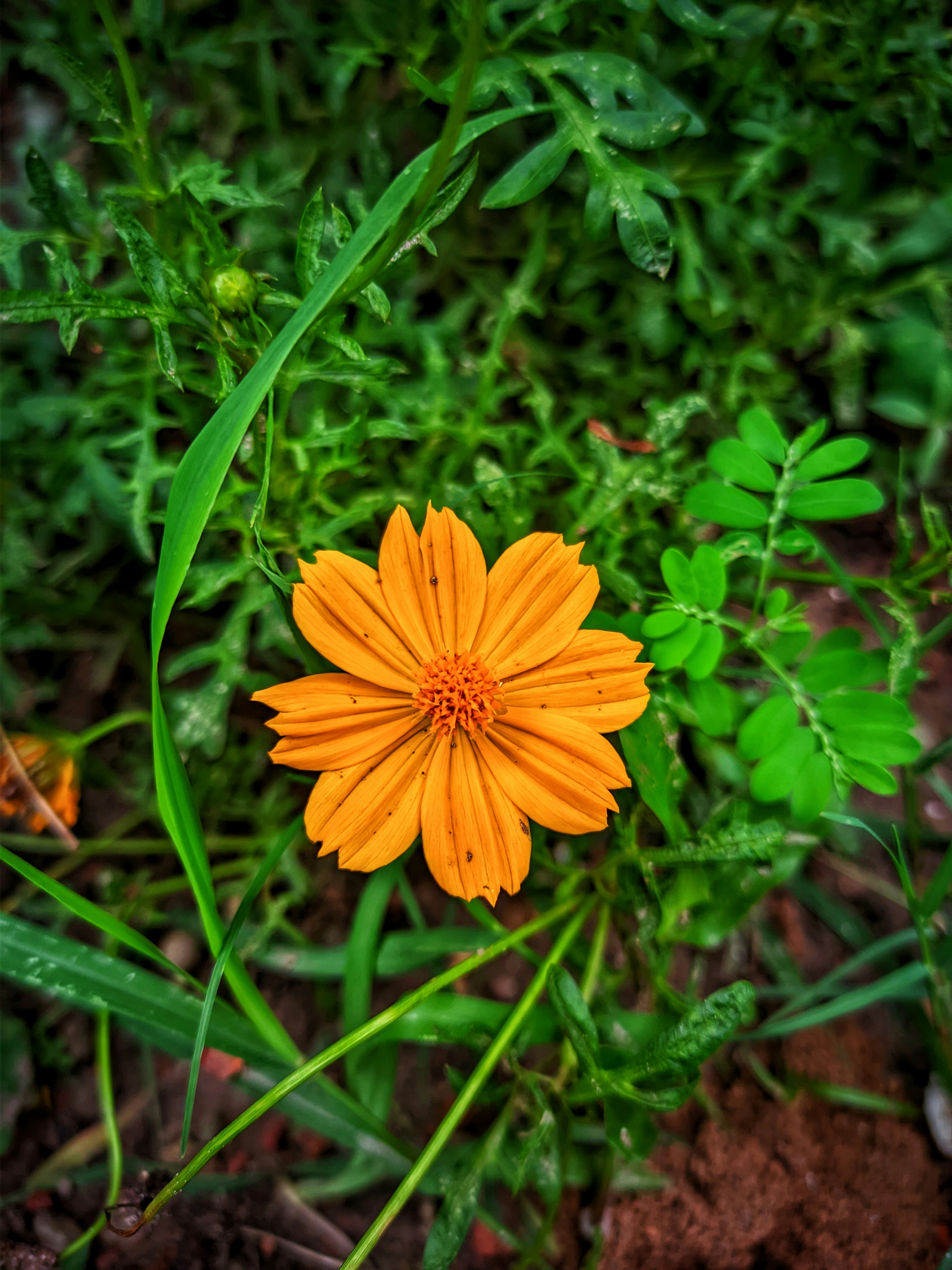 Photo by Tanvir Alam Hira™ with LG V60 ThinQ