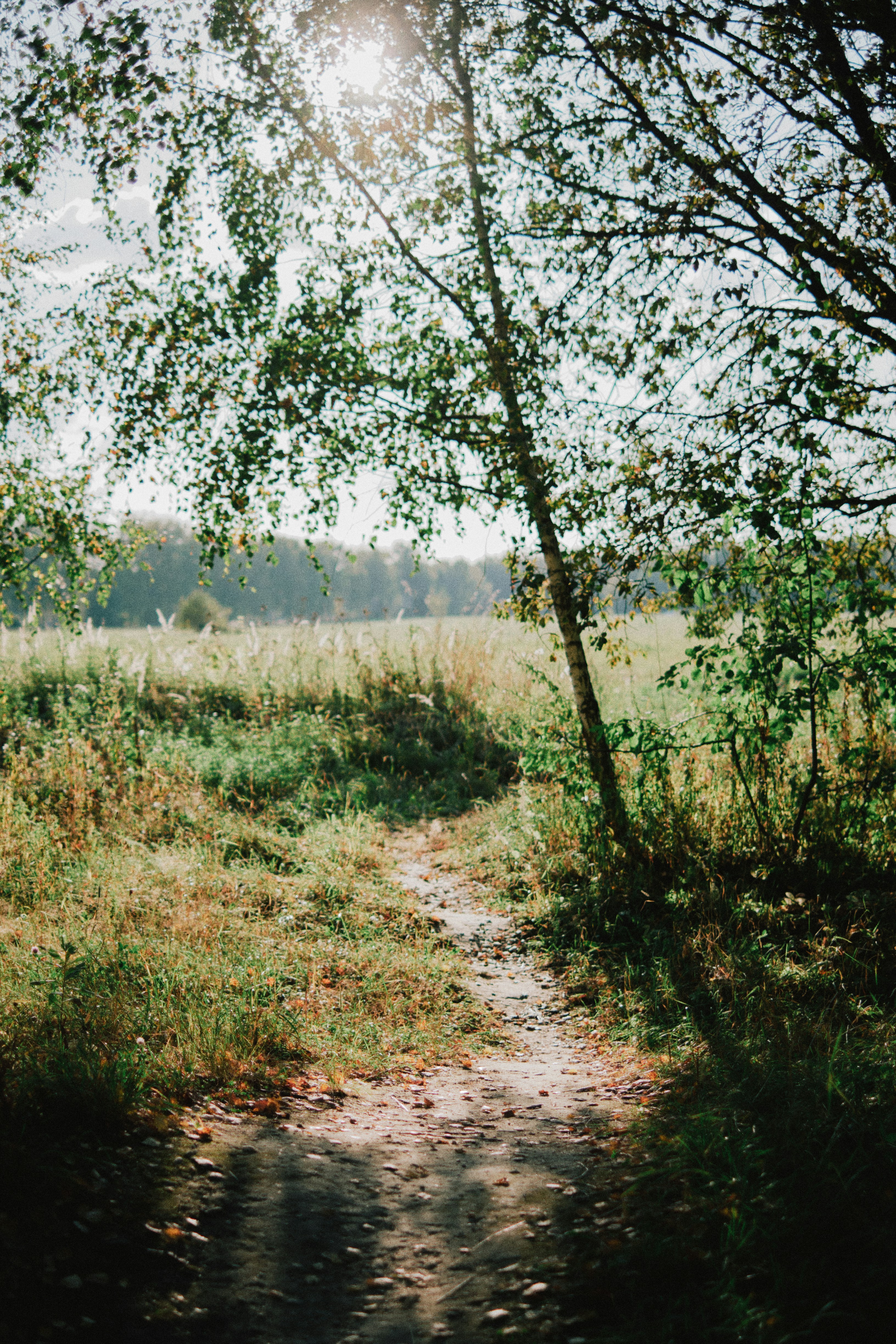 Chris Boyd | Bellingham Real Estate