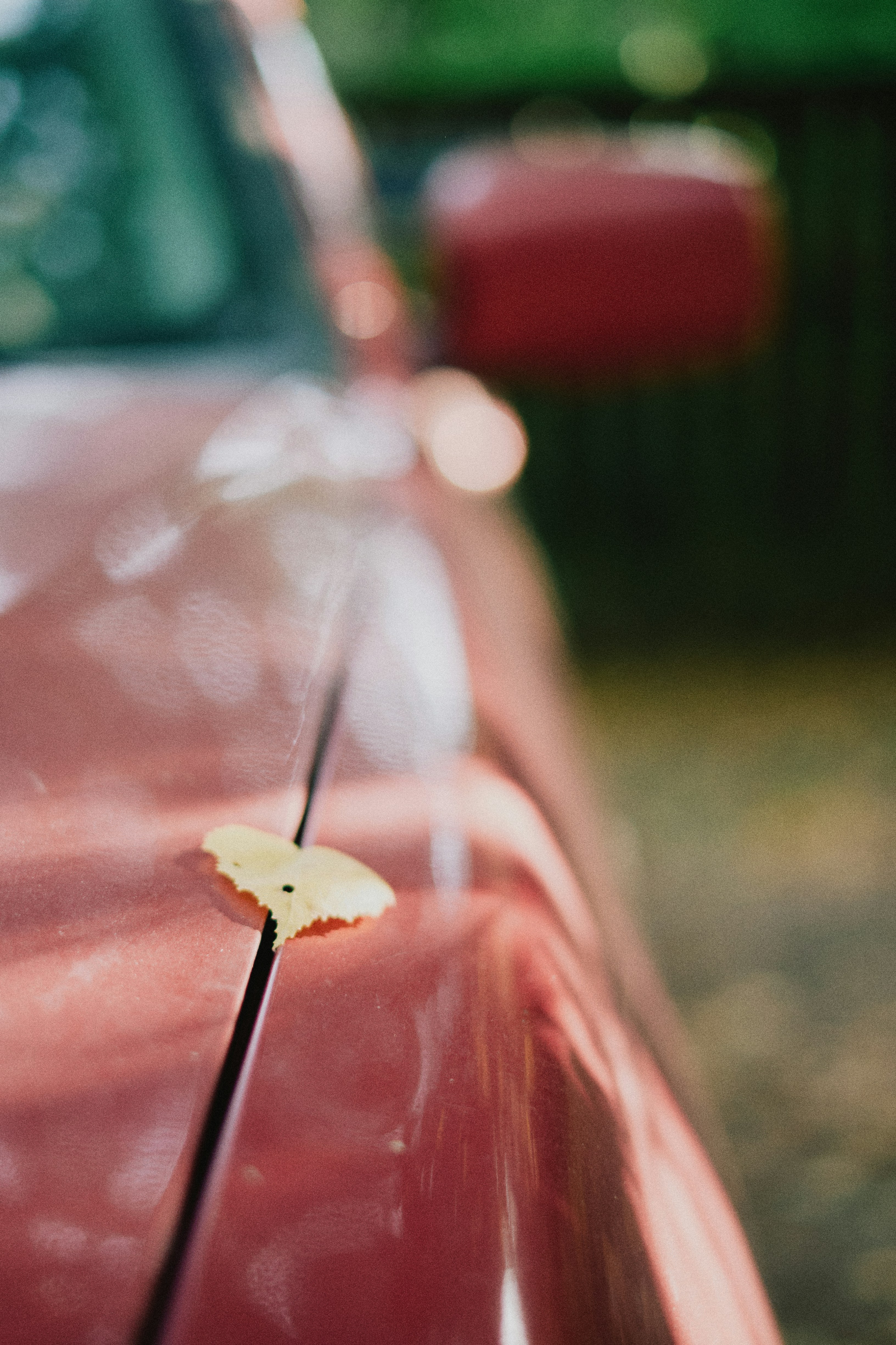 Leaf on a Blush Vintage Car Hood in Warm Bokeh