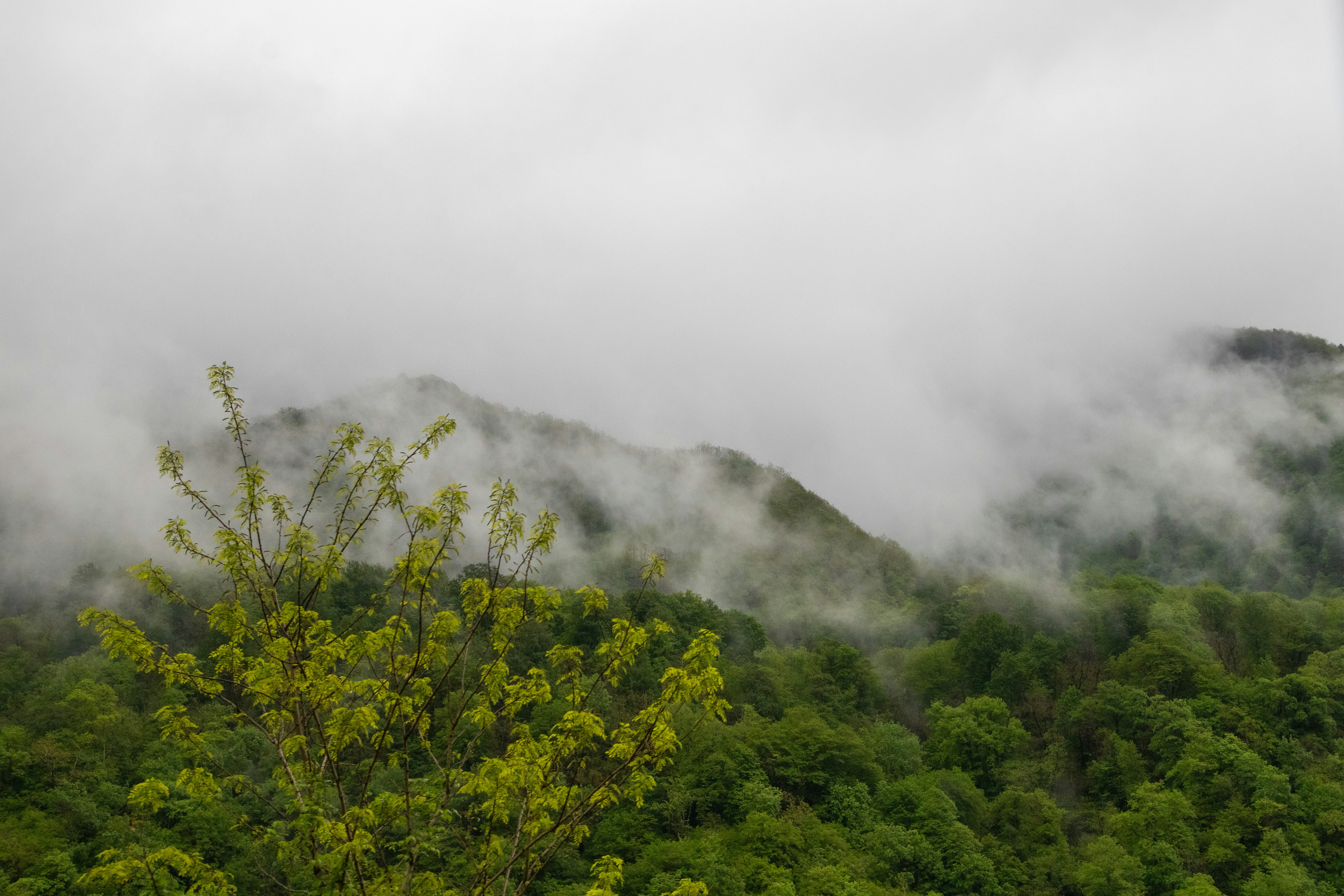 Photo by Julia Prokopenko with Canon EOS 6D Mark II