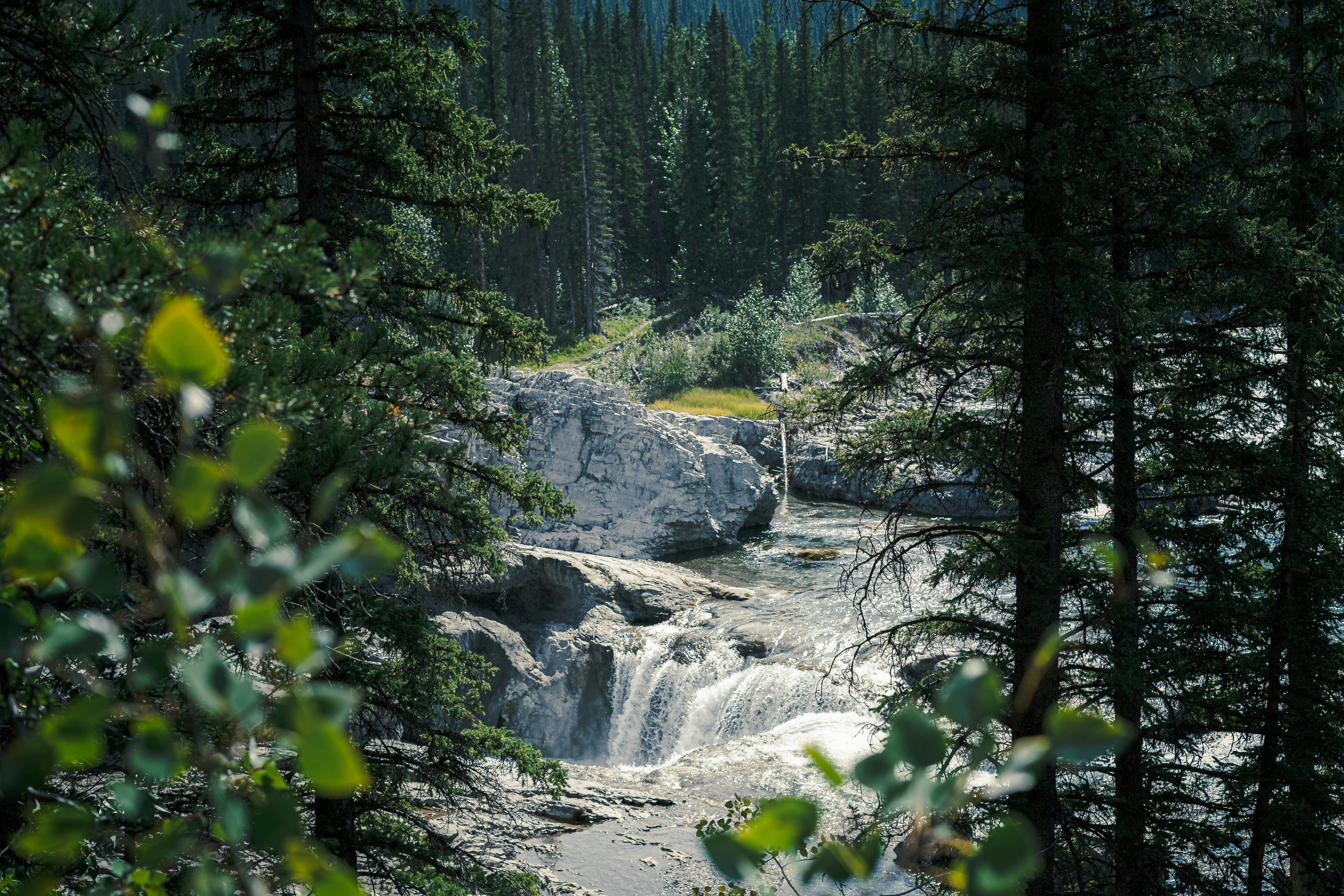 Elbow Fractures Type II Classification