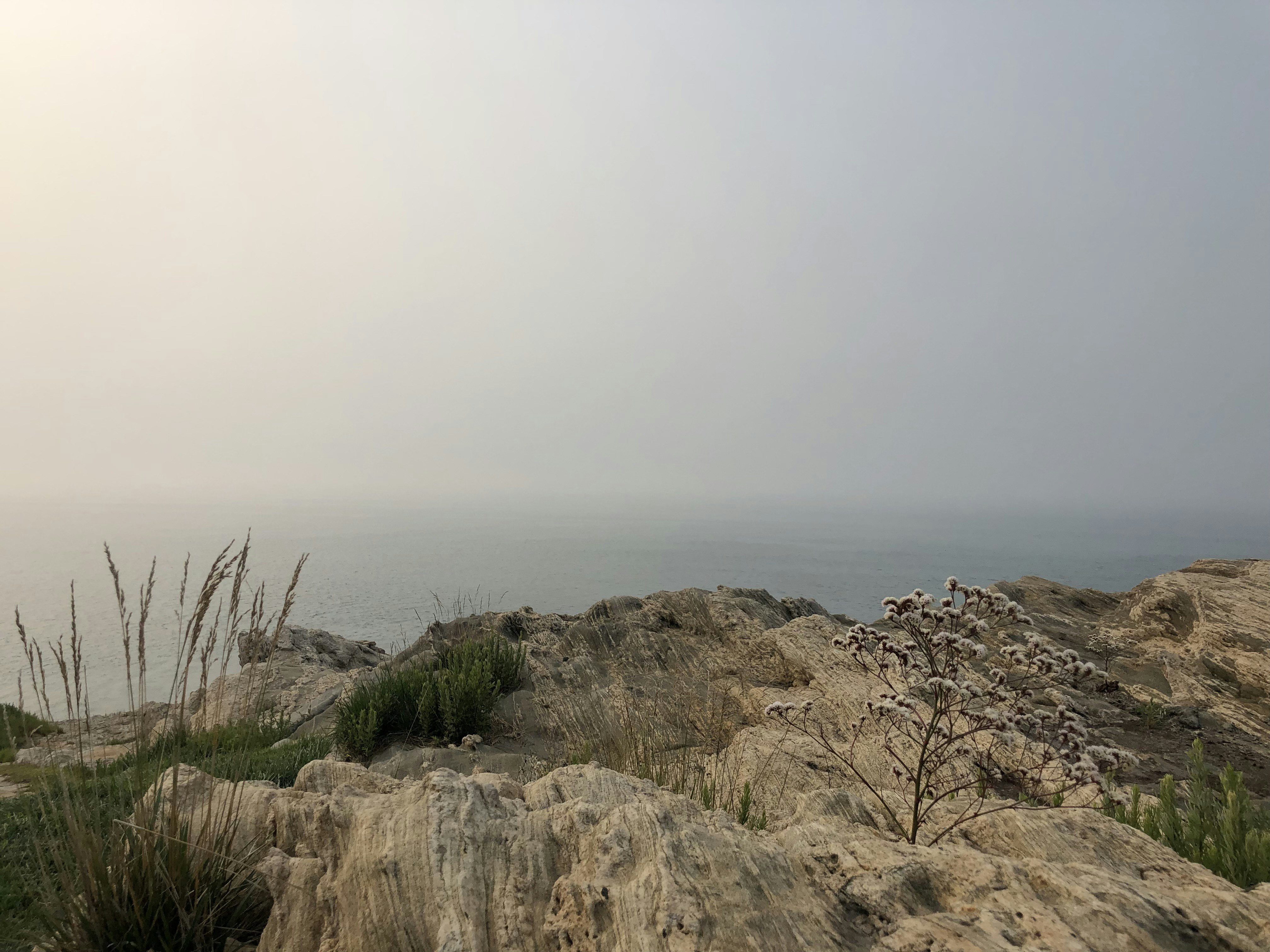 A view of the ocean from a rocky outcropping photo – Free Beach Image ...