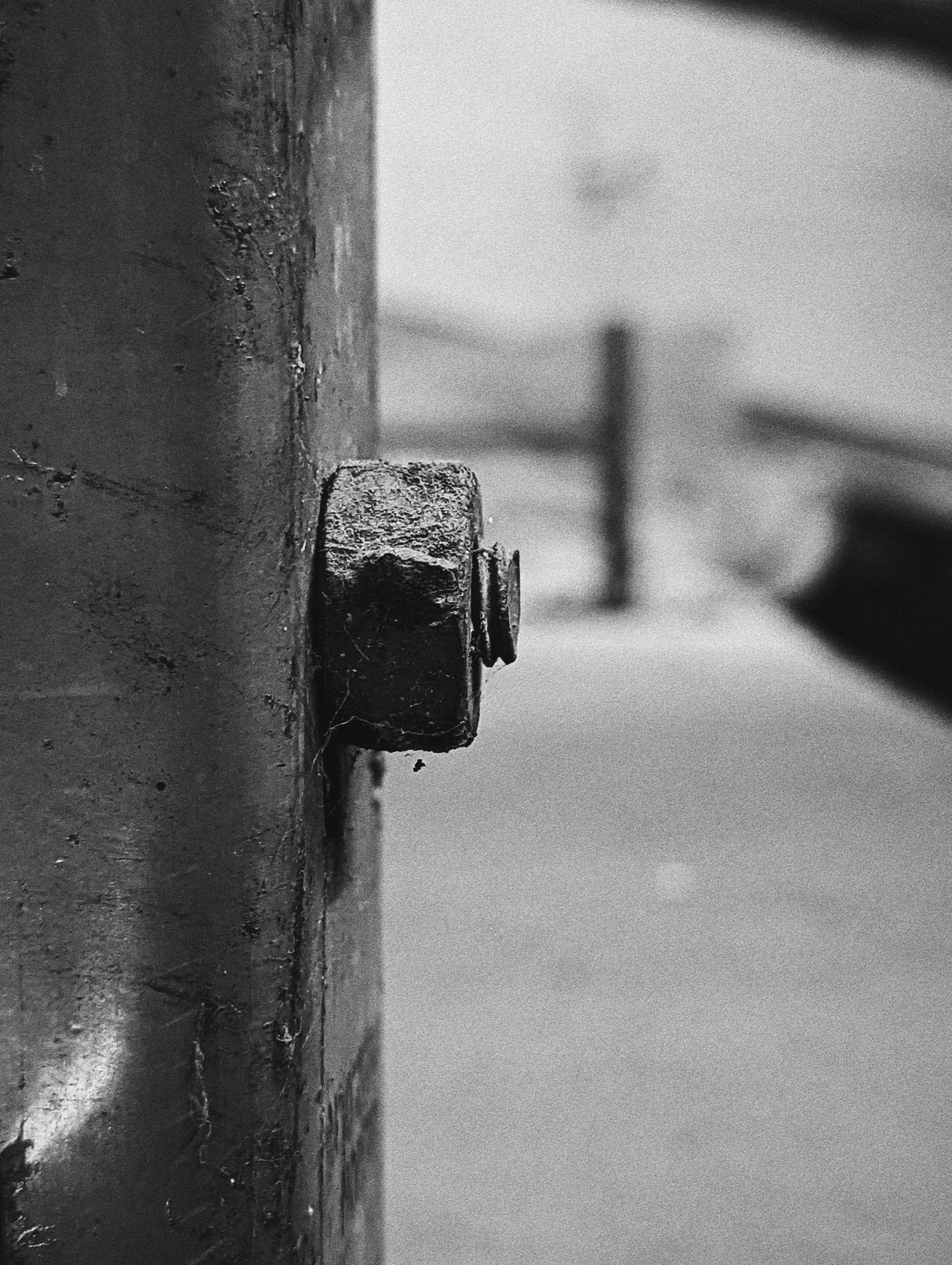 Blurred Background | a black and white photo of a fire hydrant